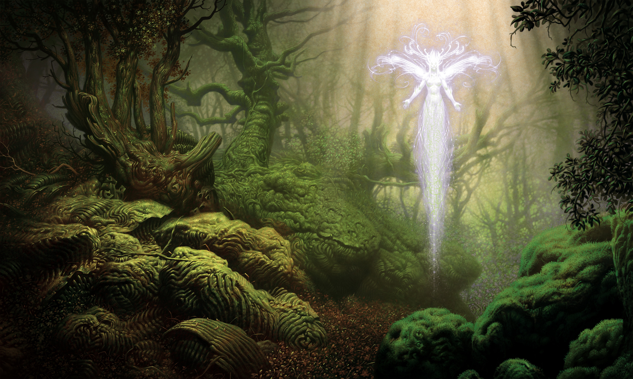 Enchanted Forest by Ausonia 23 | Scrolller