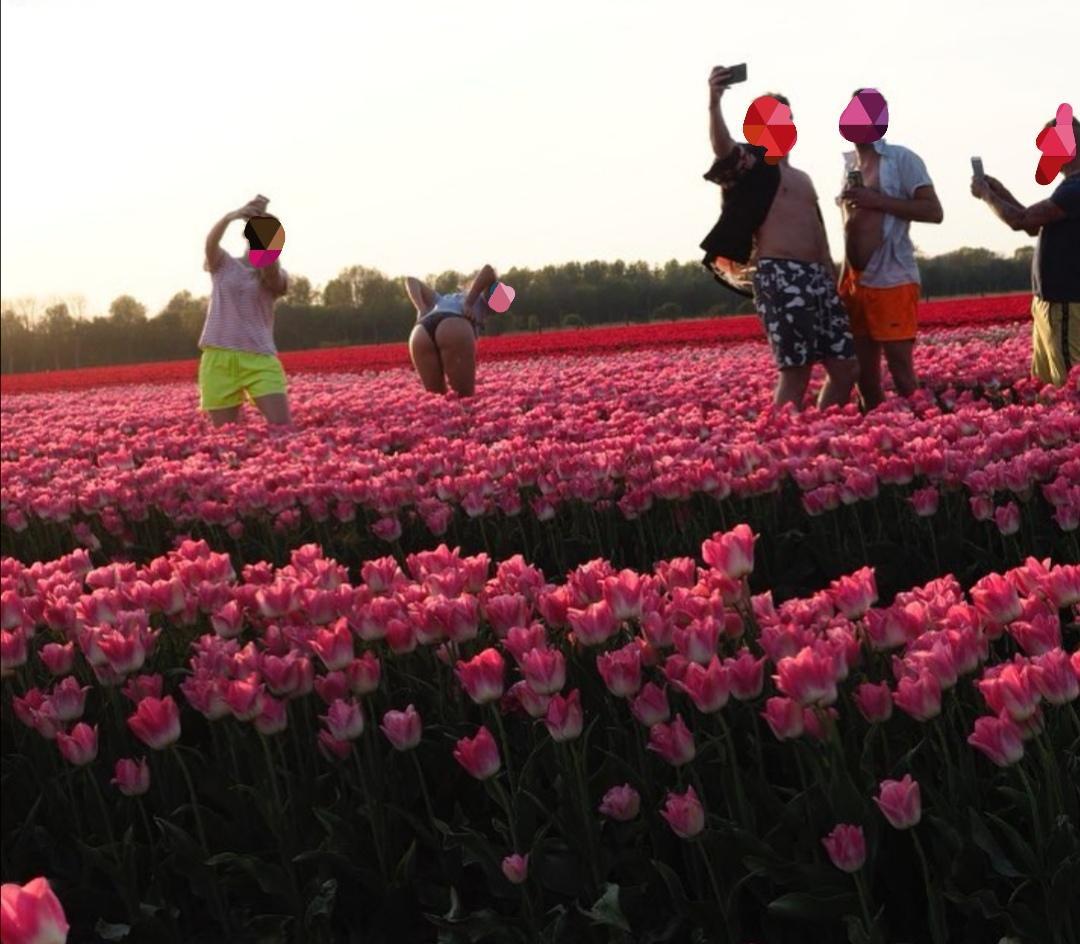 Enjoying the flowers | Scrolller