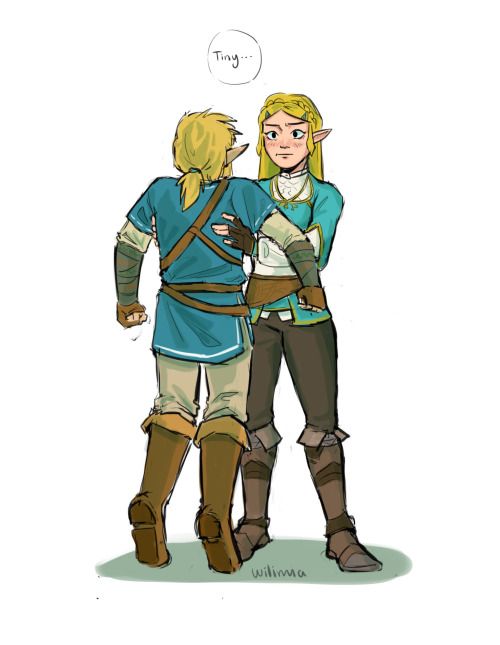 Envious of Link. | Scrolller