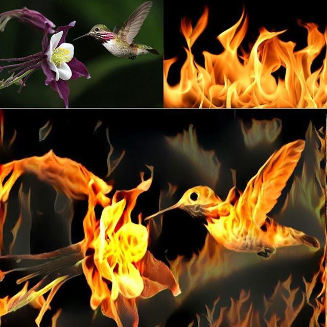 Epic transformation | Scrolller