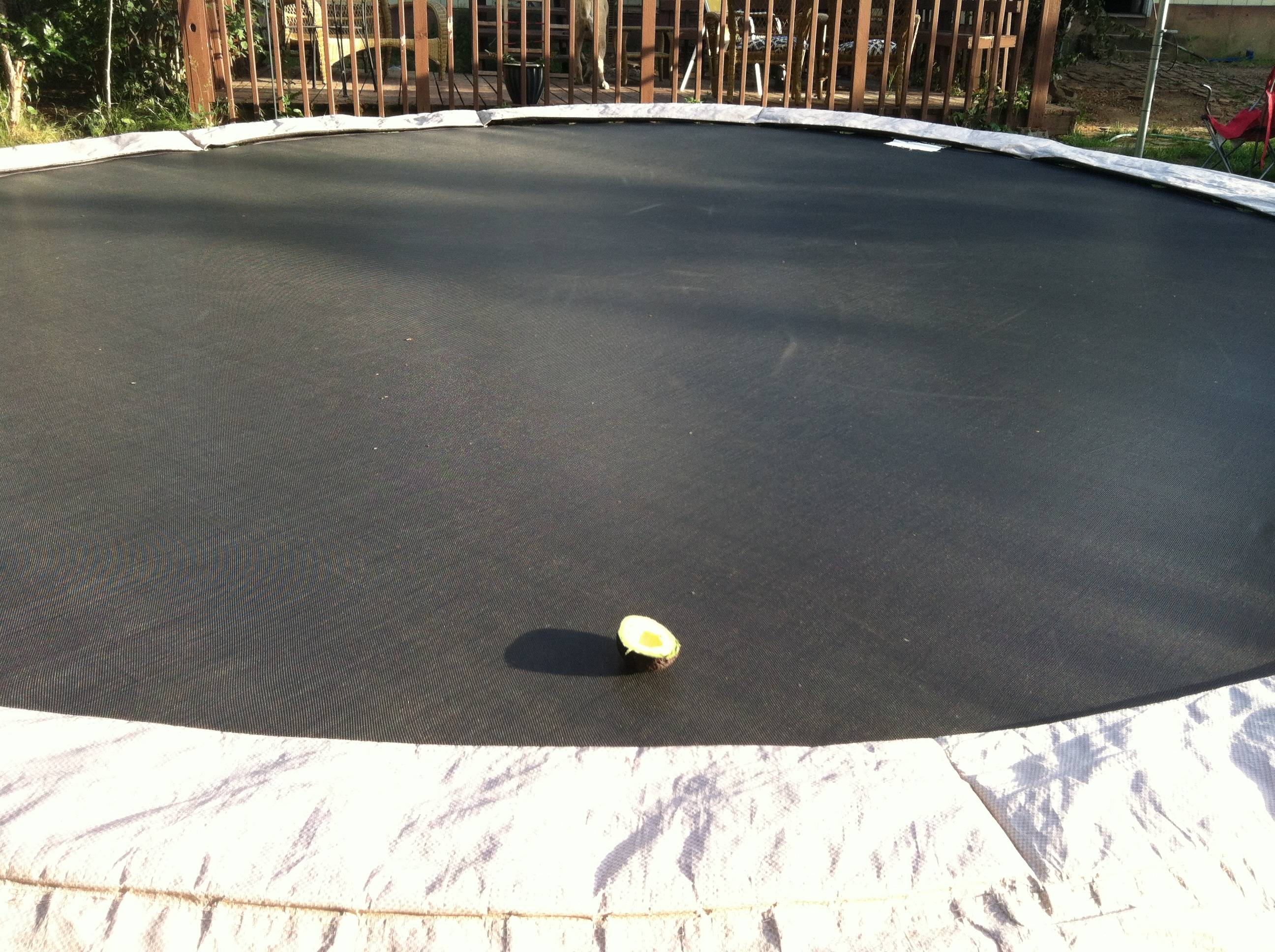 Ever done it on the trampoline? | Scrolller