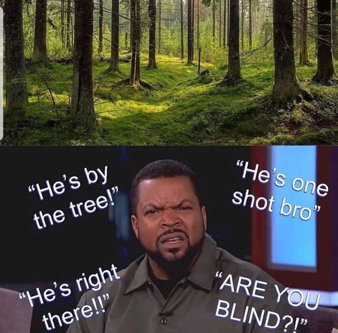 Every day with the boys. | Scrolller