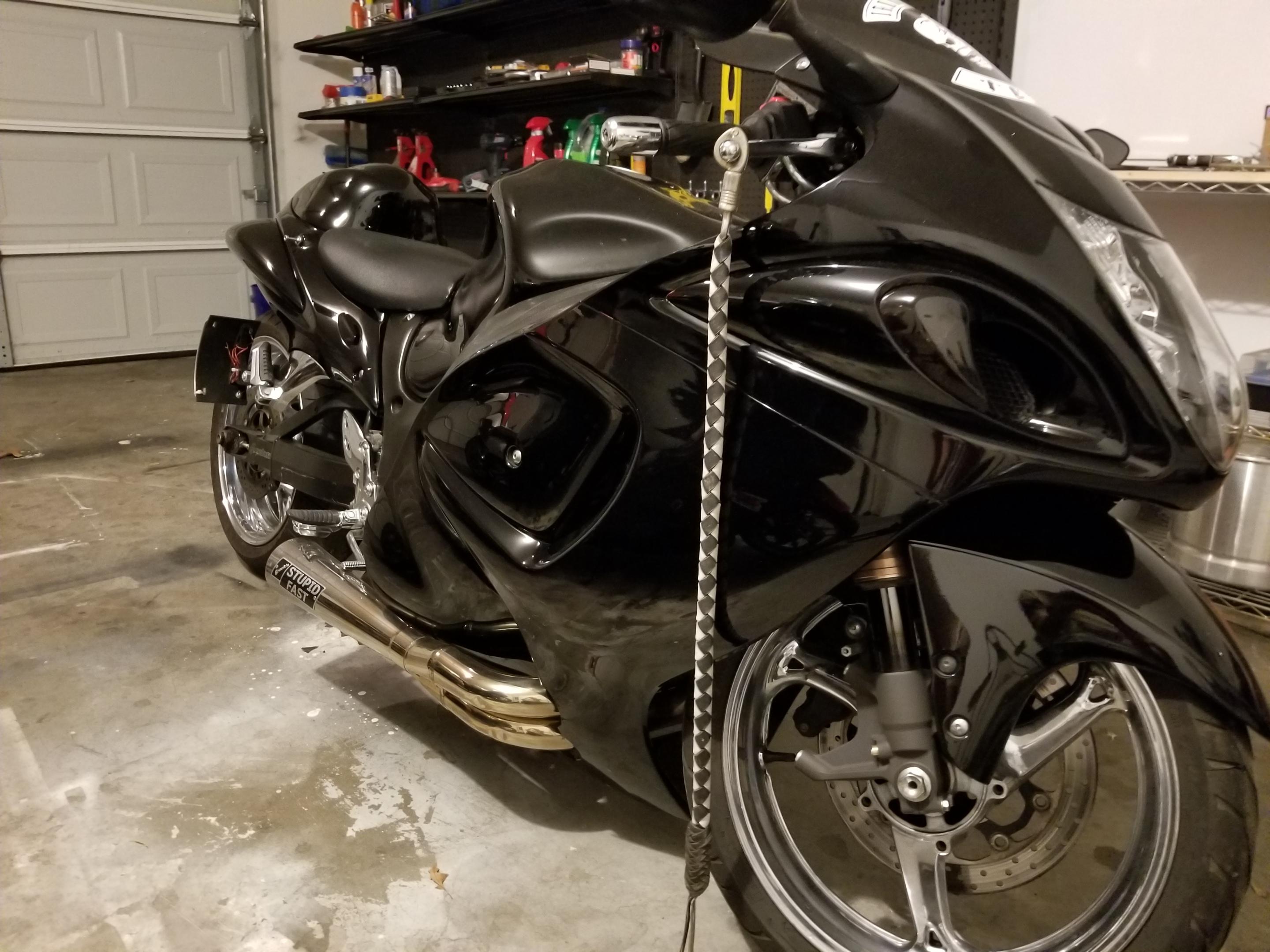 Everyone meet Bitches. | Scrolller