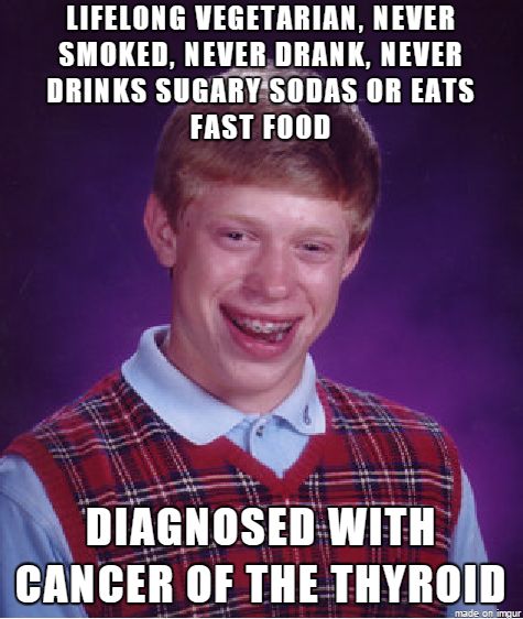 Everyone, meet my co-worker | Scrolller