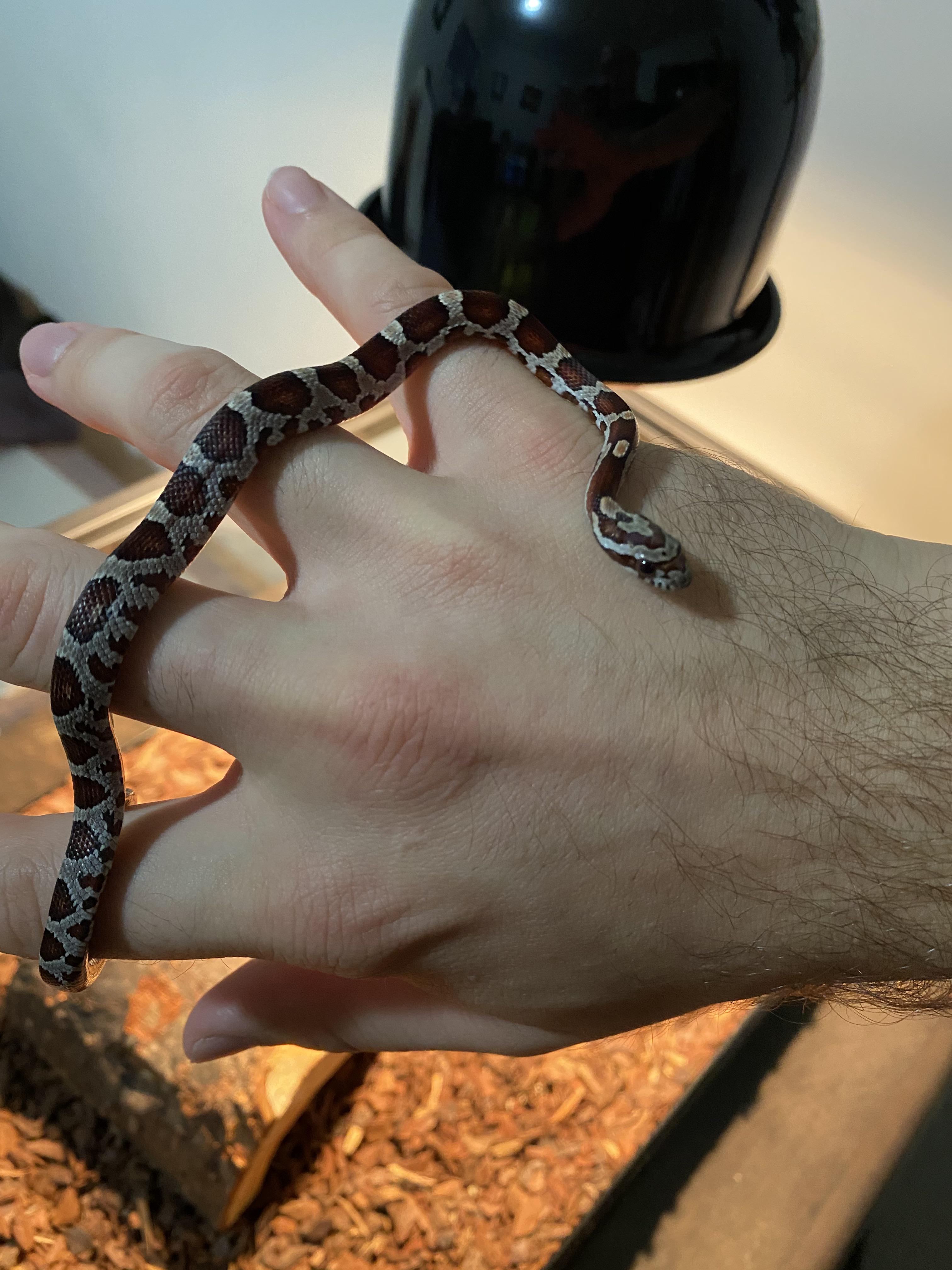 Everyone, this is Steve! | Scrolller