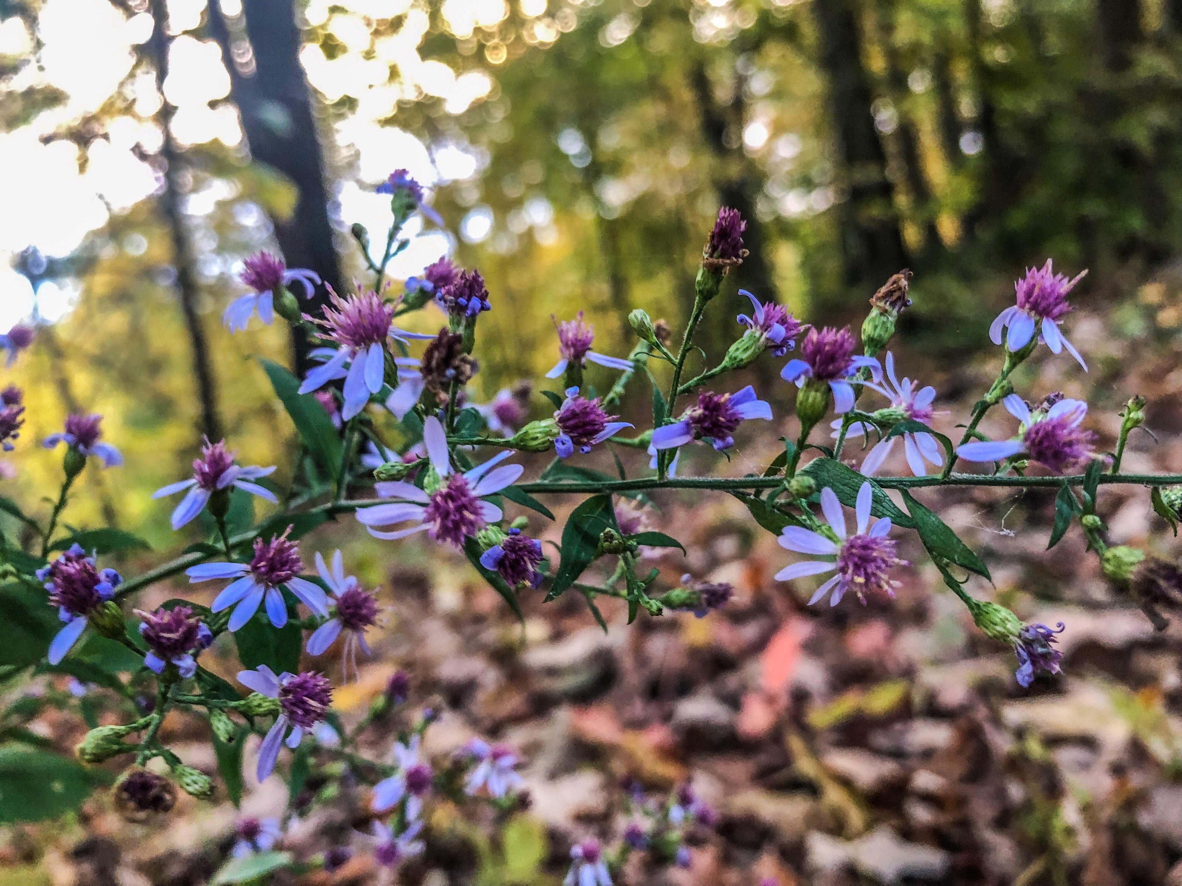 Everything else outside is fall colors | Scrolller