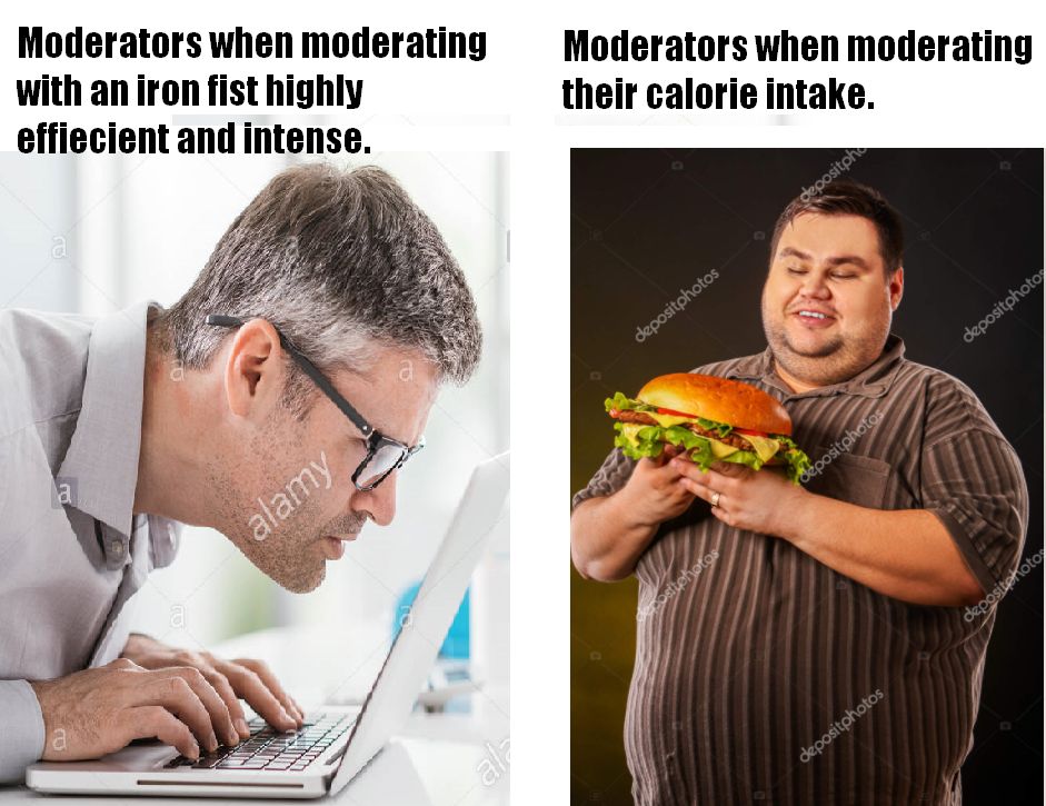 Everything in moderation 🍕 | Scrolller