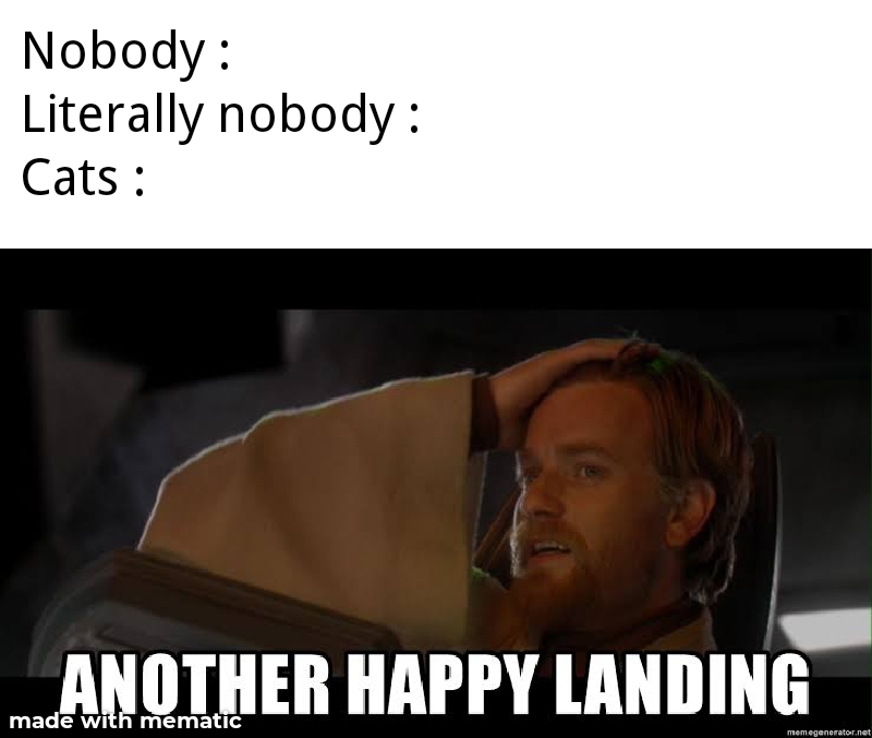 Everytime they jump | Scrolller