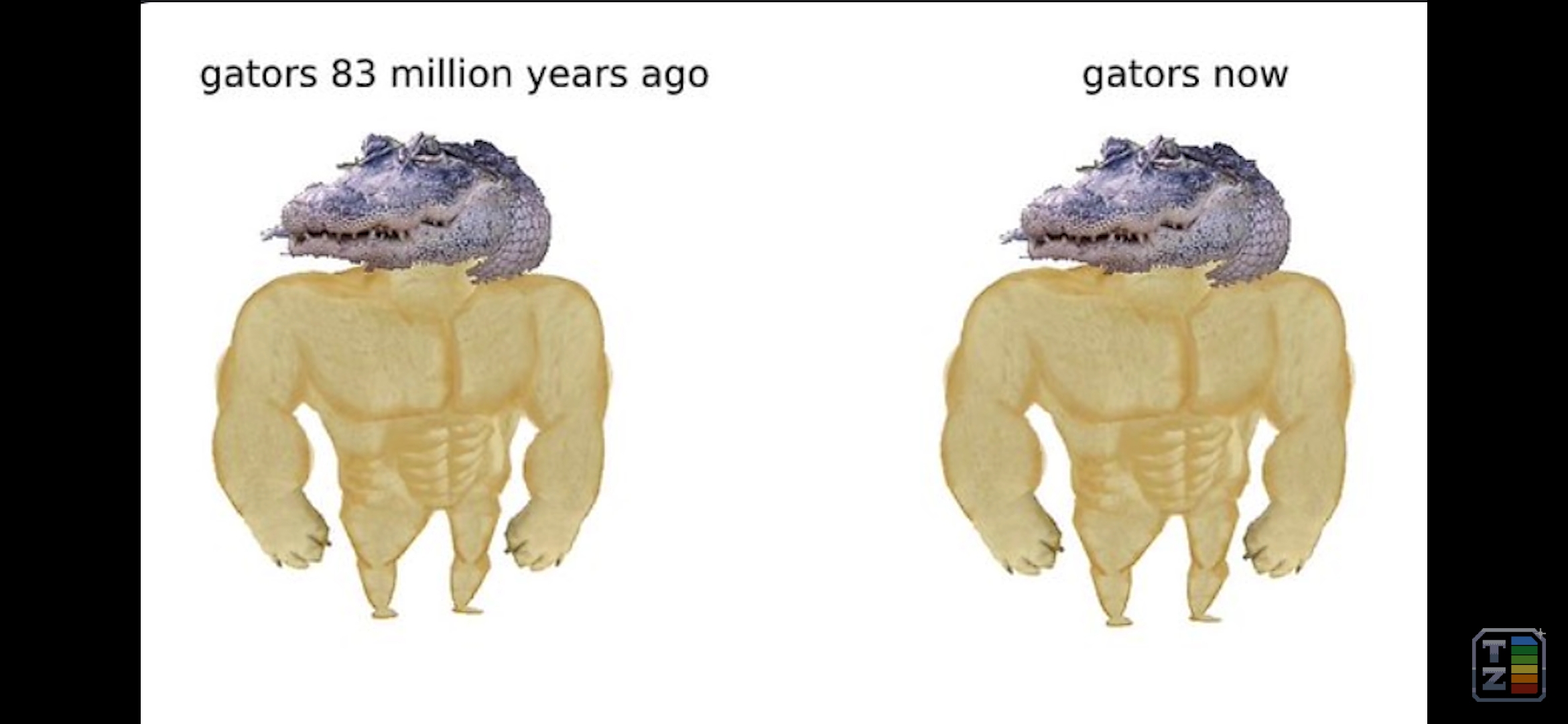 Evolution? | Scrolller