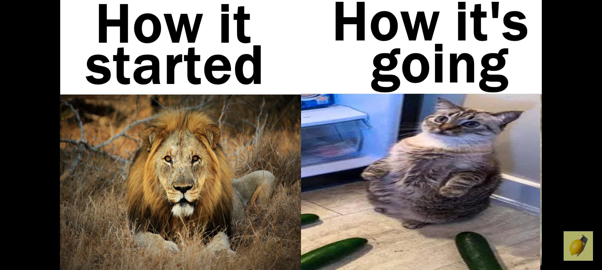 Evolution People Evolution Scrolller