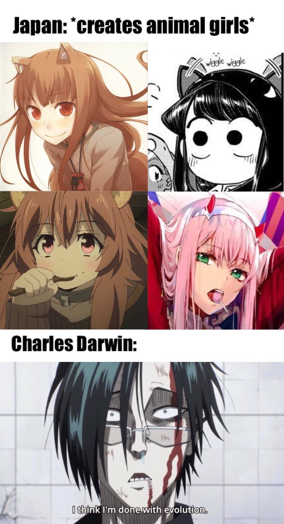 Evolution reached it's peek | Scrolller