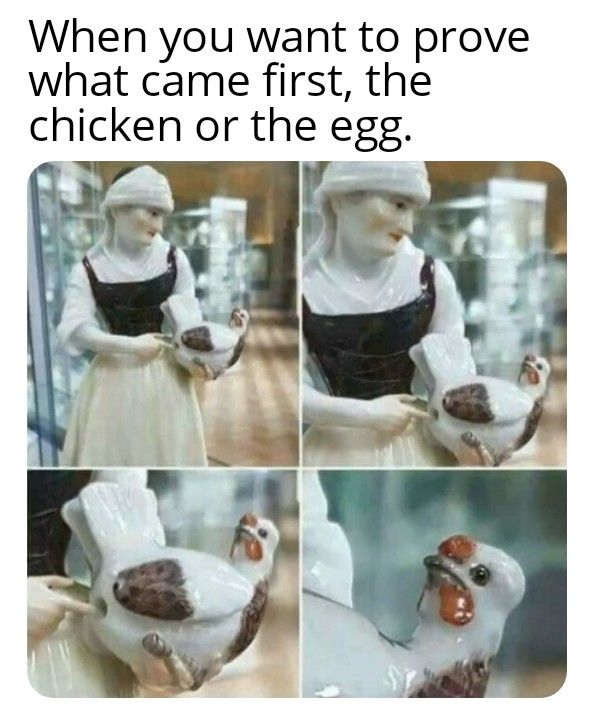 Excited chicken noises | Scrolller