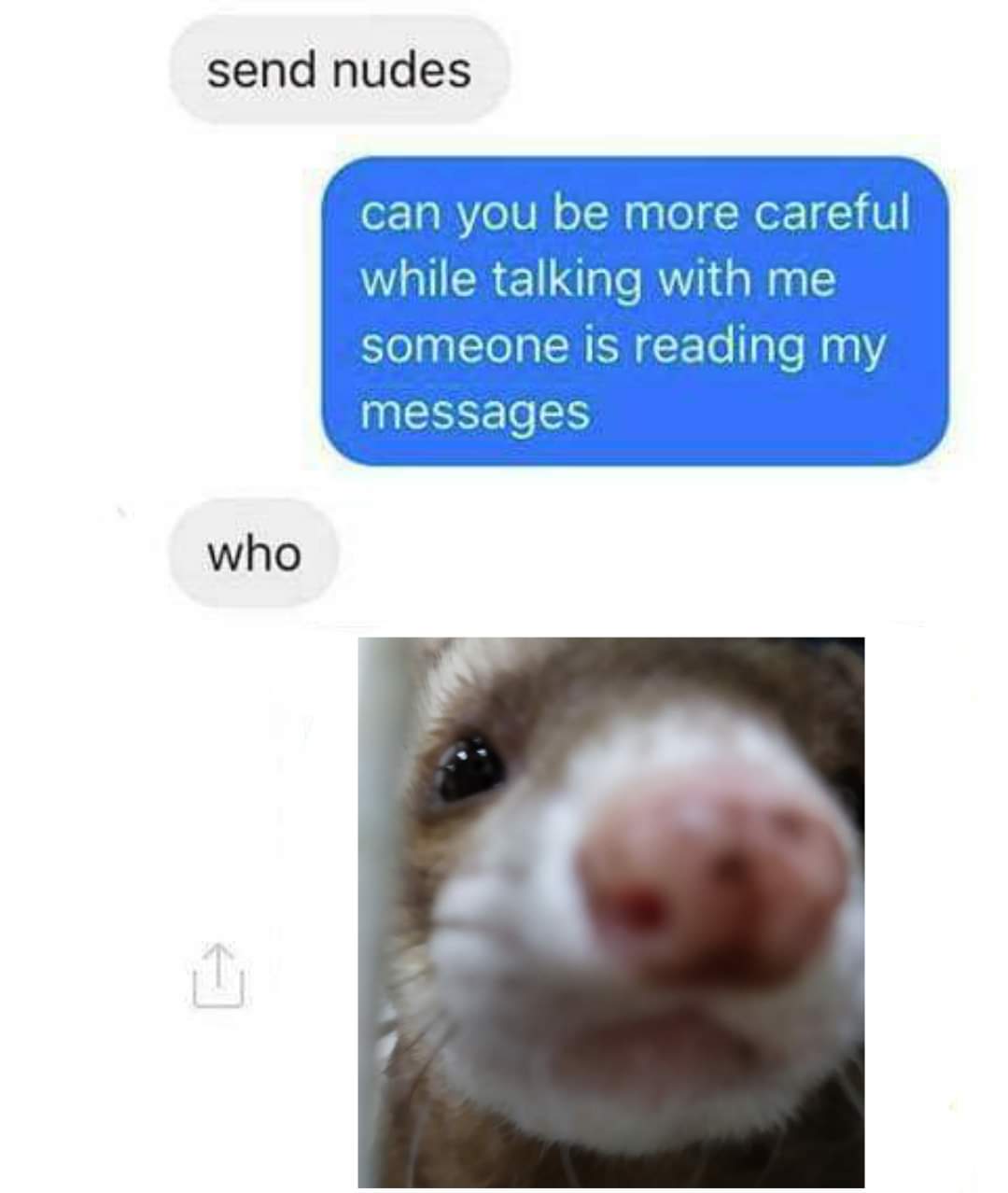 eXcUsE mE | Scrolller