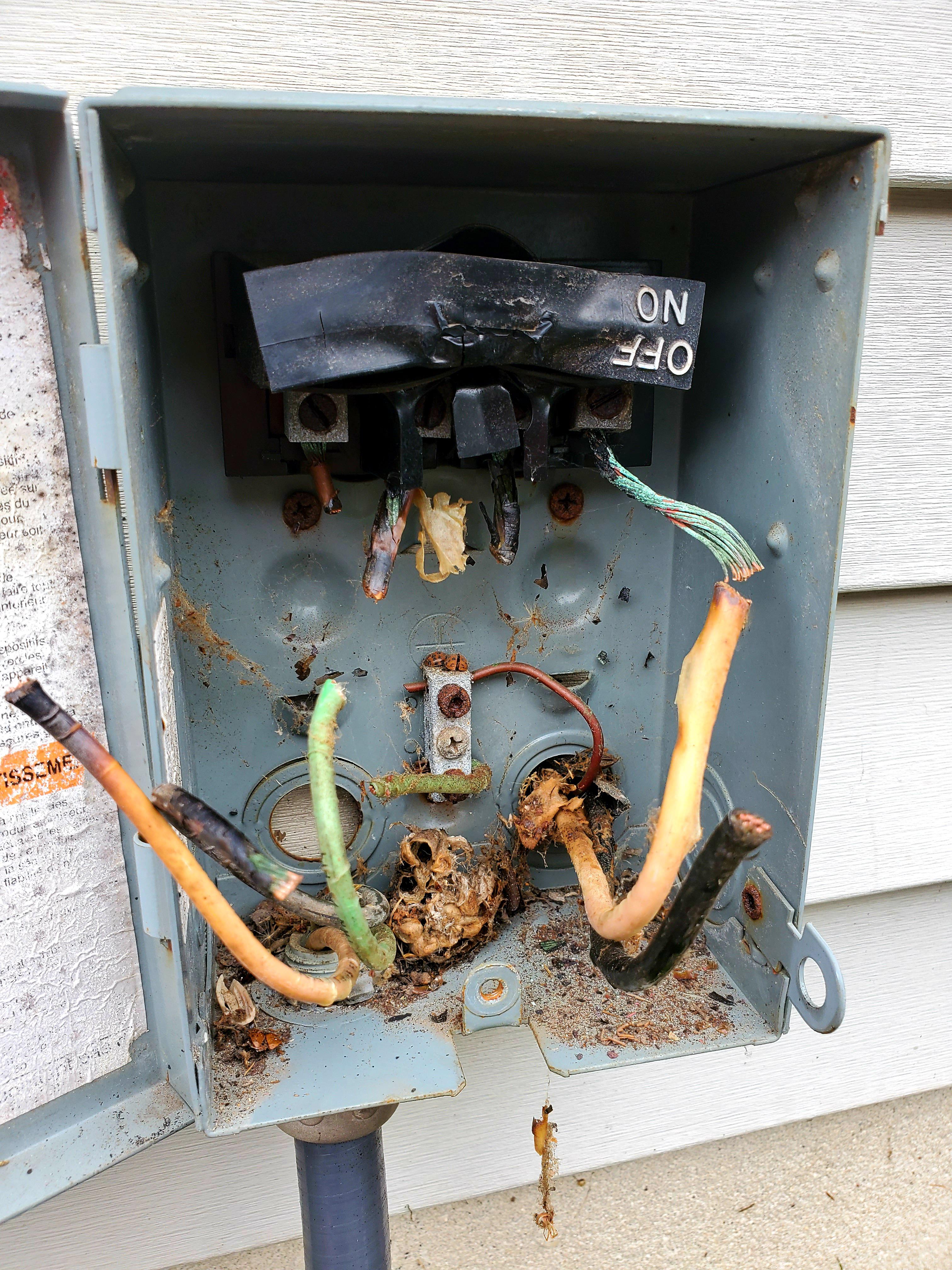 Excuse me sir, could you lead me to your circuit panel? | Scrolller Excuse me sir, could you lead me to your circuit panel? | Scrolller