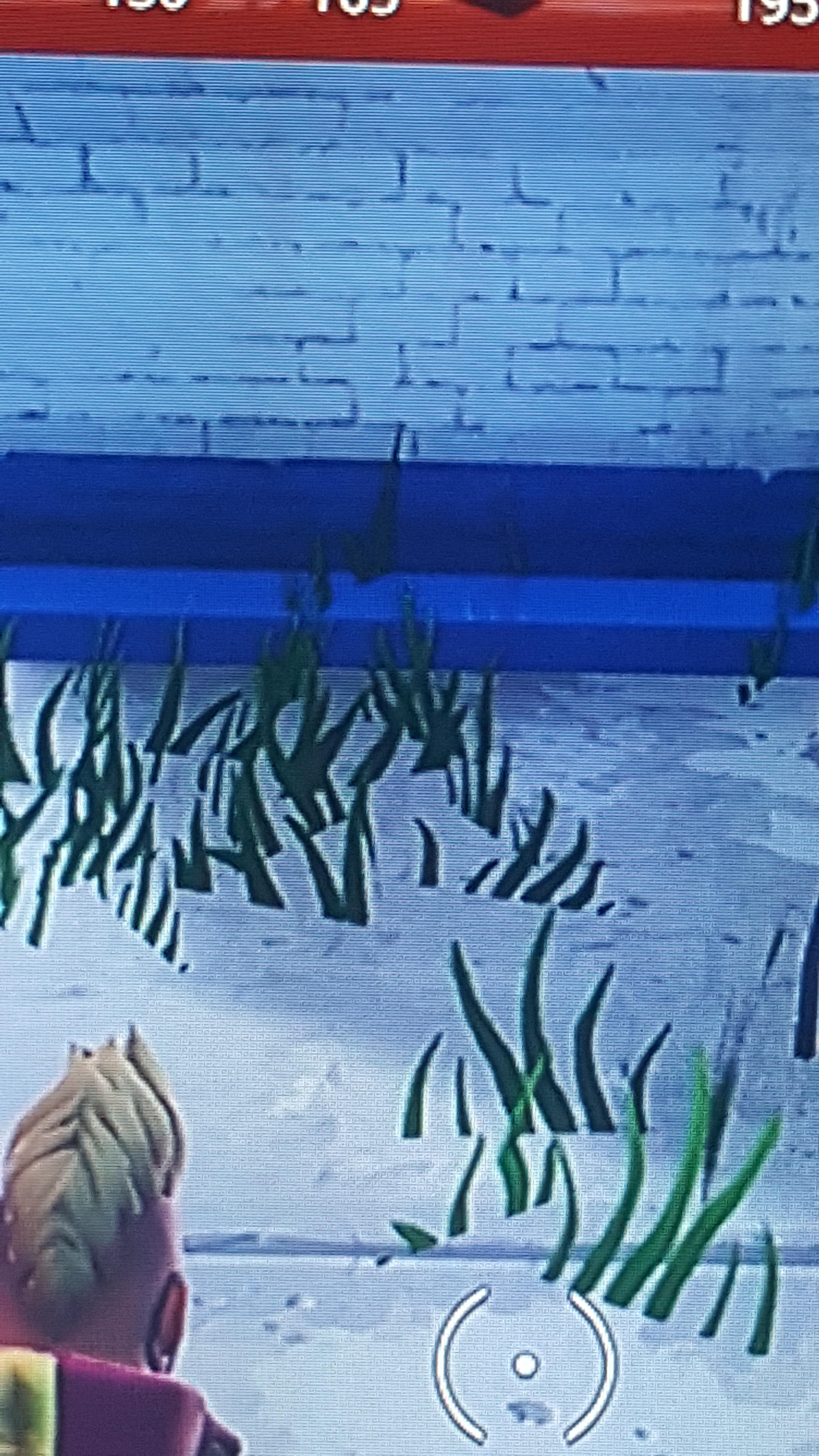 Excuse me WTF | Scrolller