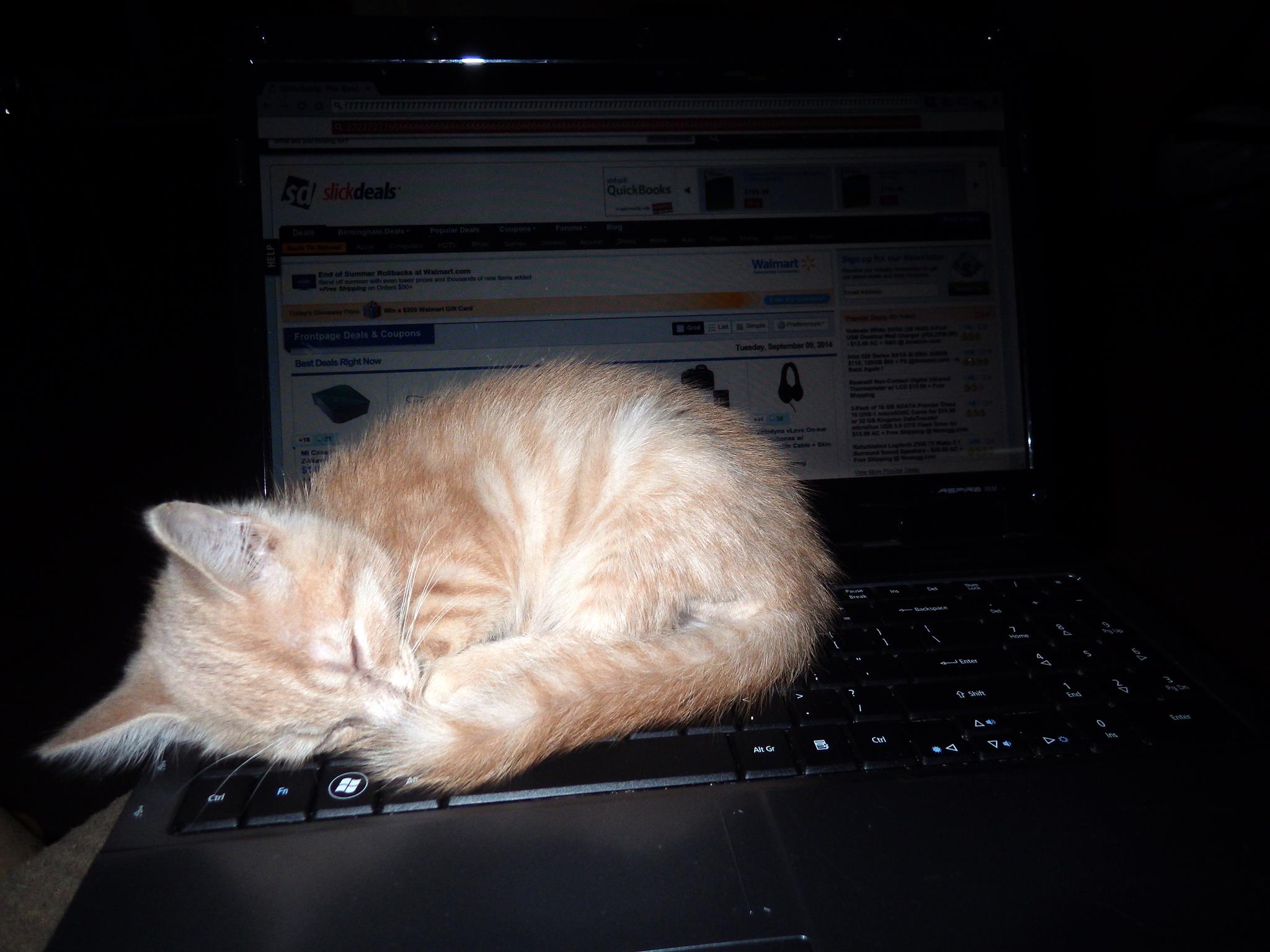 Exhausted after his first screen capture | Scrolller