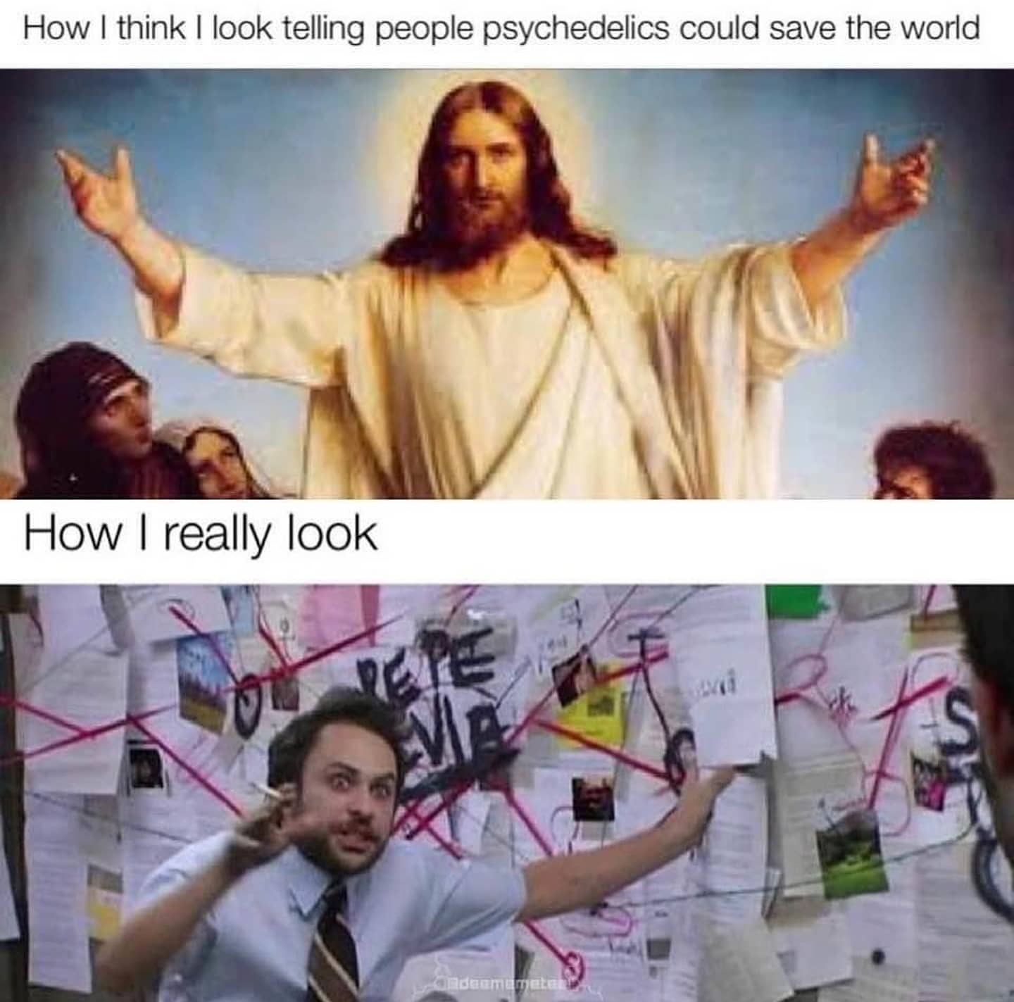 Expectation vs Reality | Scrolller