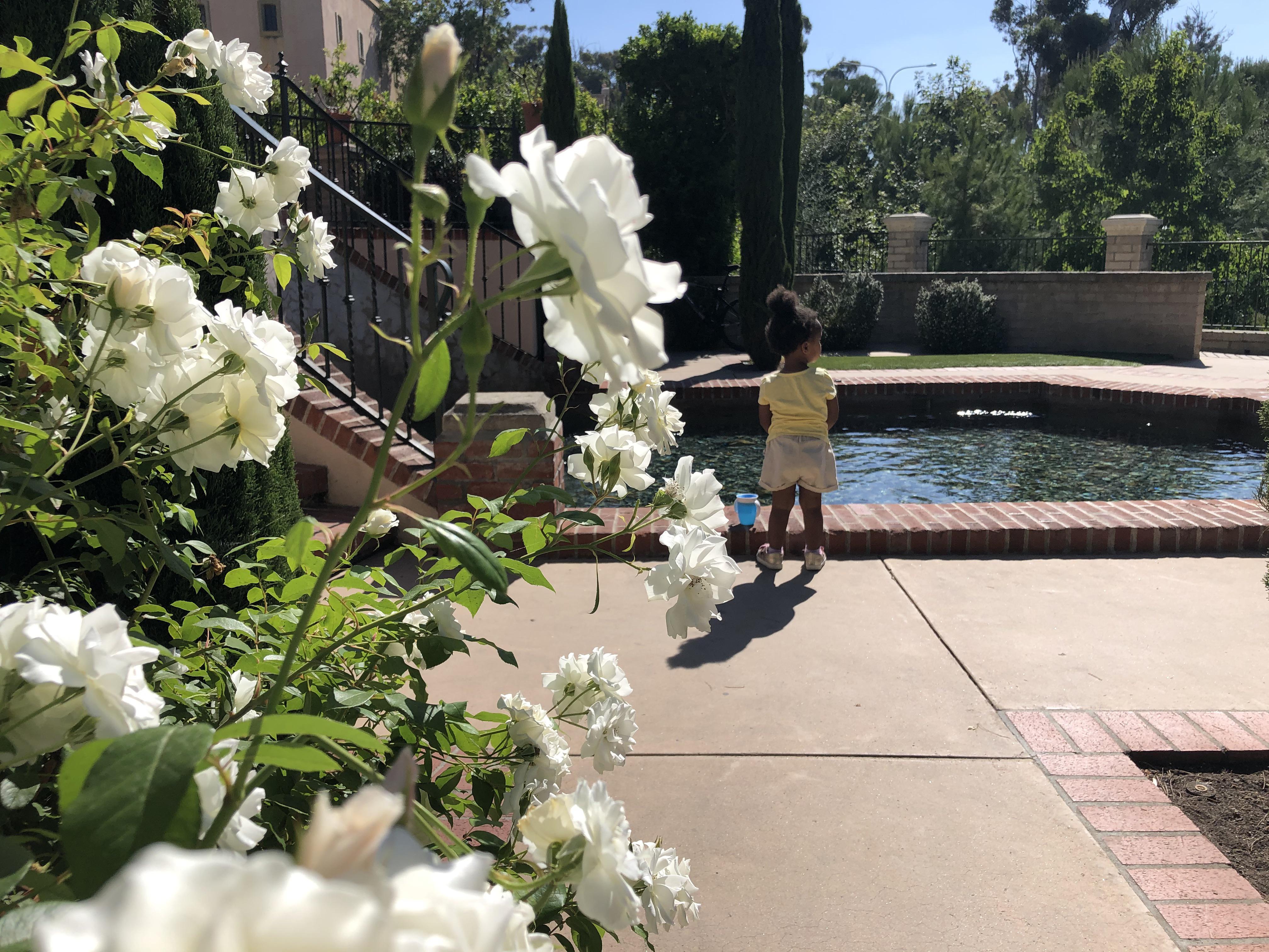 Exploring Balboa Park. | Scrolller