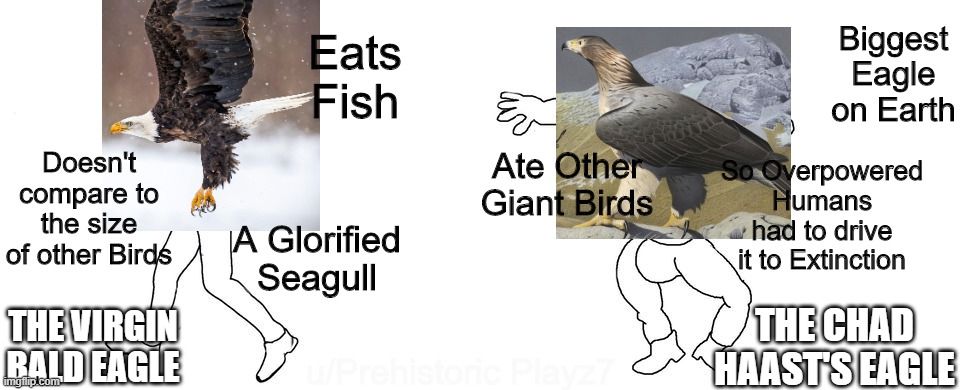 Extinct > Extanct | Scrolller