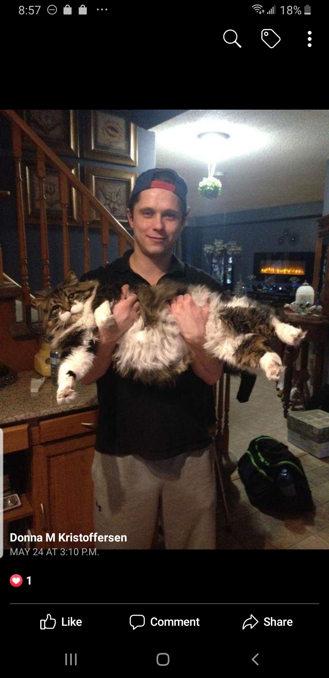 Extra Toby | Scrolller