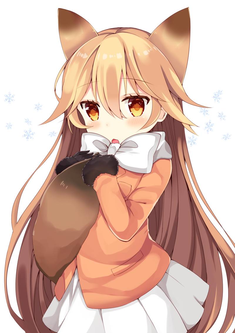 Ezo Red Fox holding her tail | Scrolller