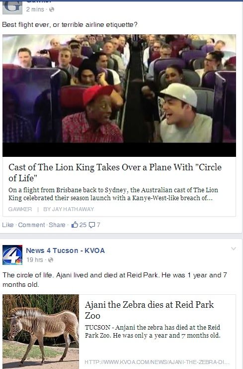 Facebook "Circle of Life" newsfeed fail | Scrolller