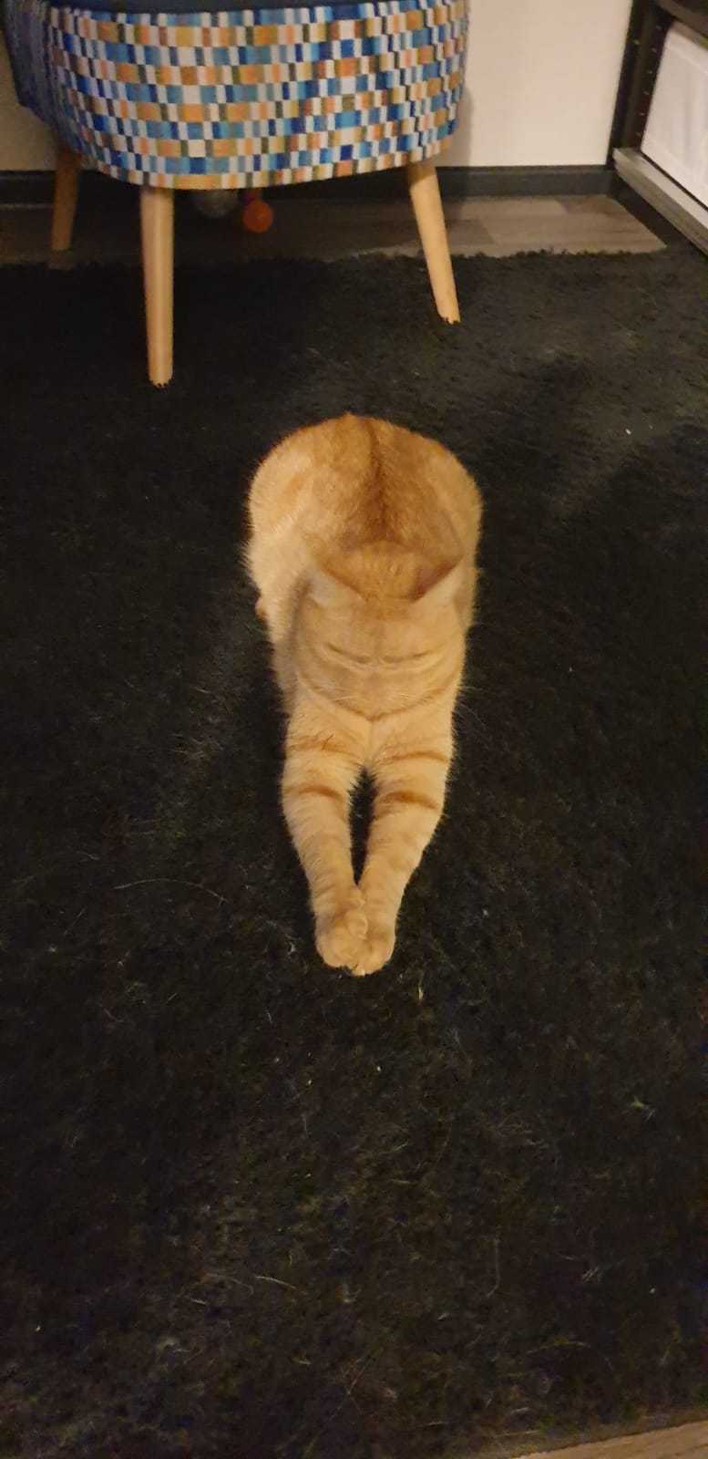 Faceless one! | Scrolller