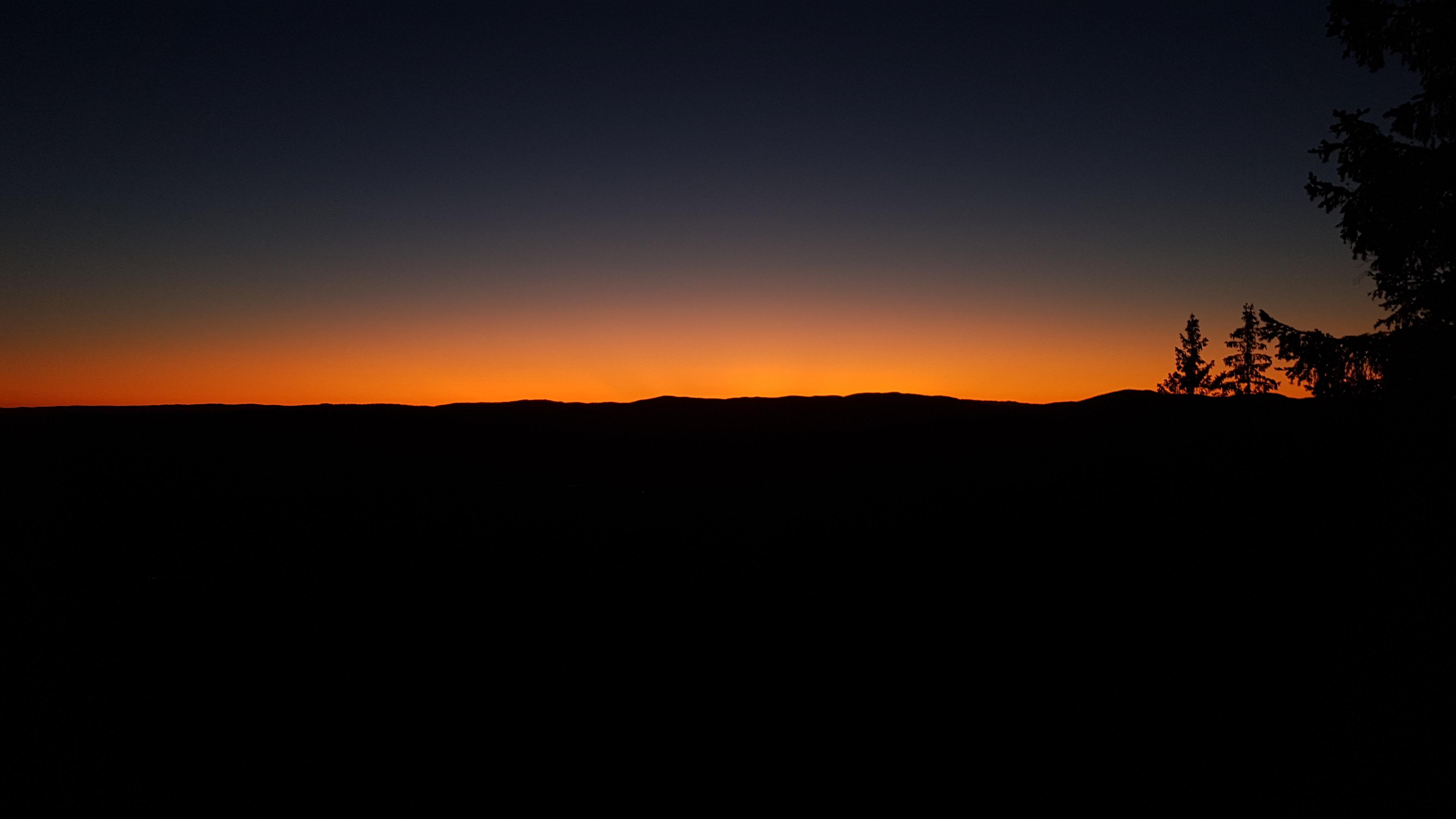 Fall 2019 | Scrolller