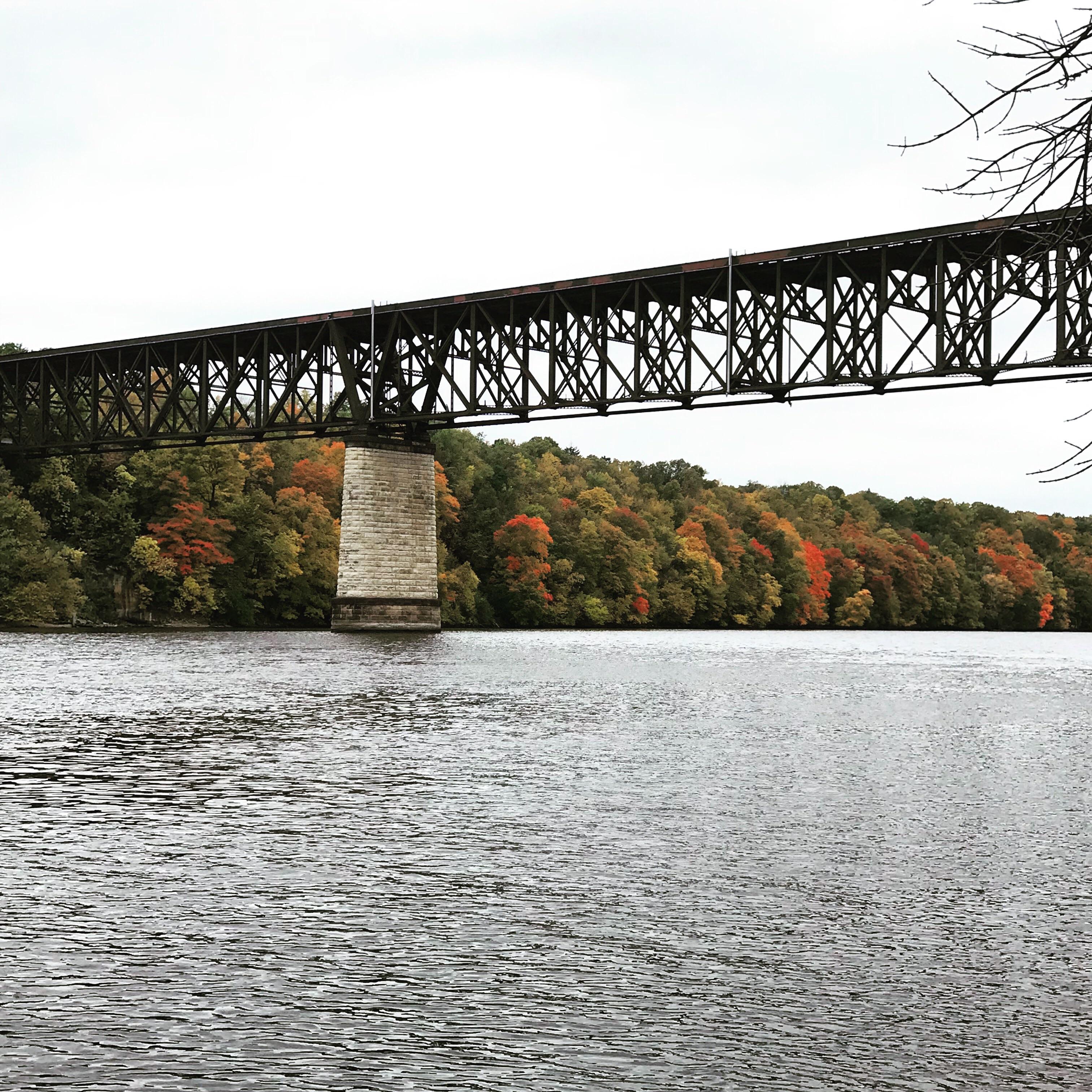 Fall colors have arrived | Scrolller