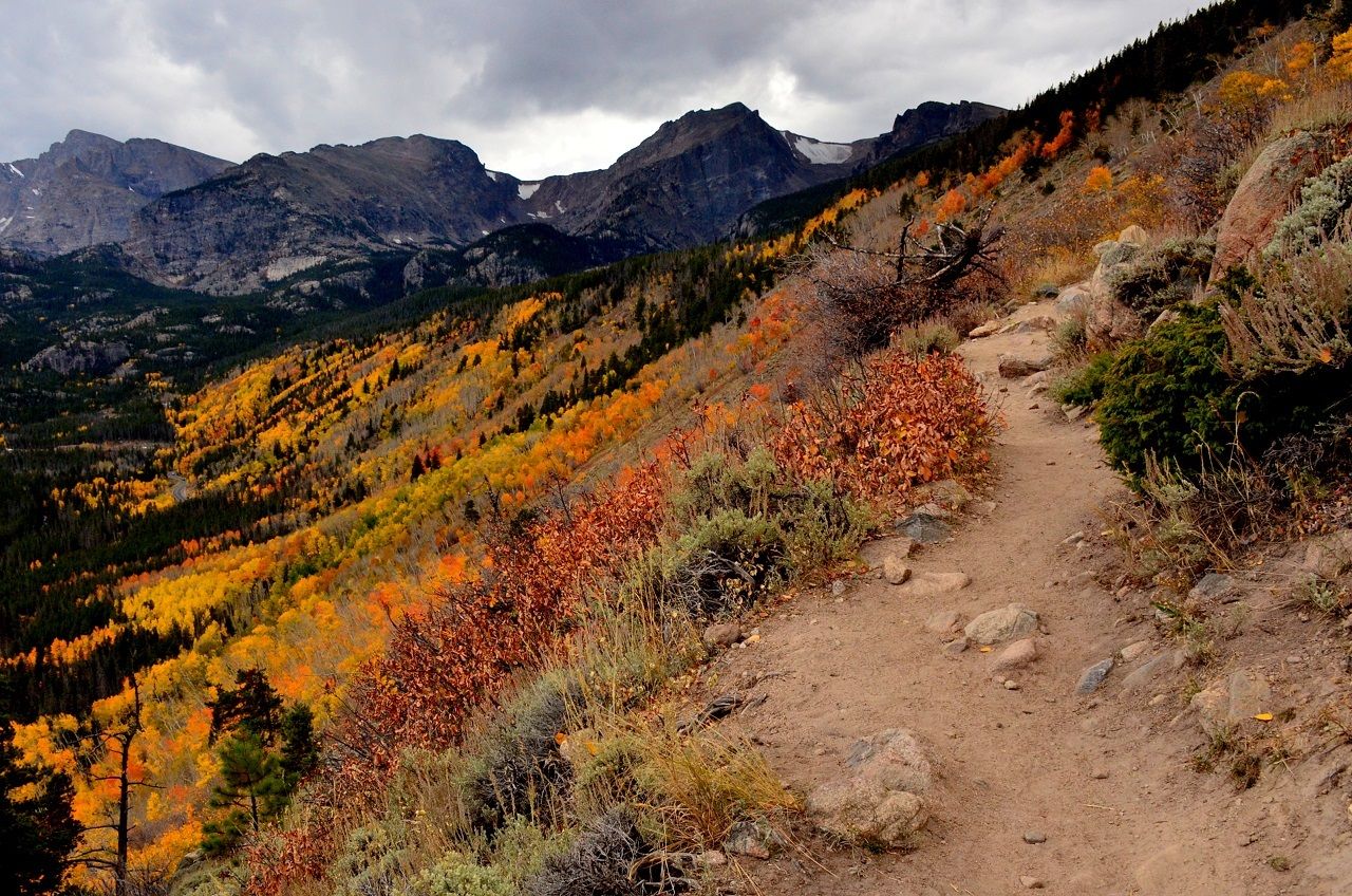 Fall Colors in Colorado | Scrolller