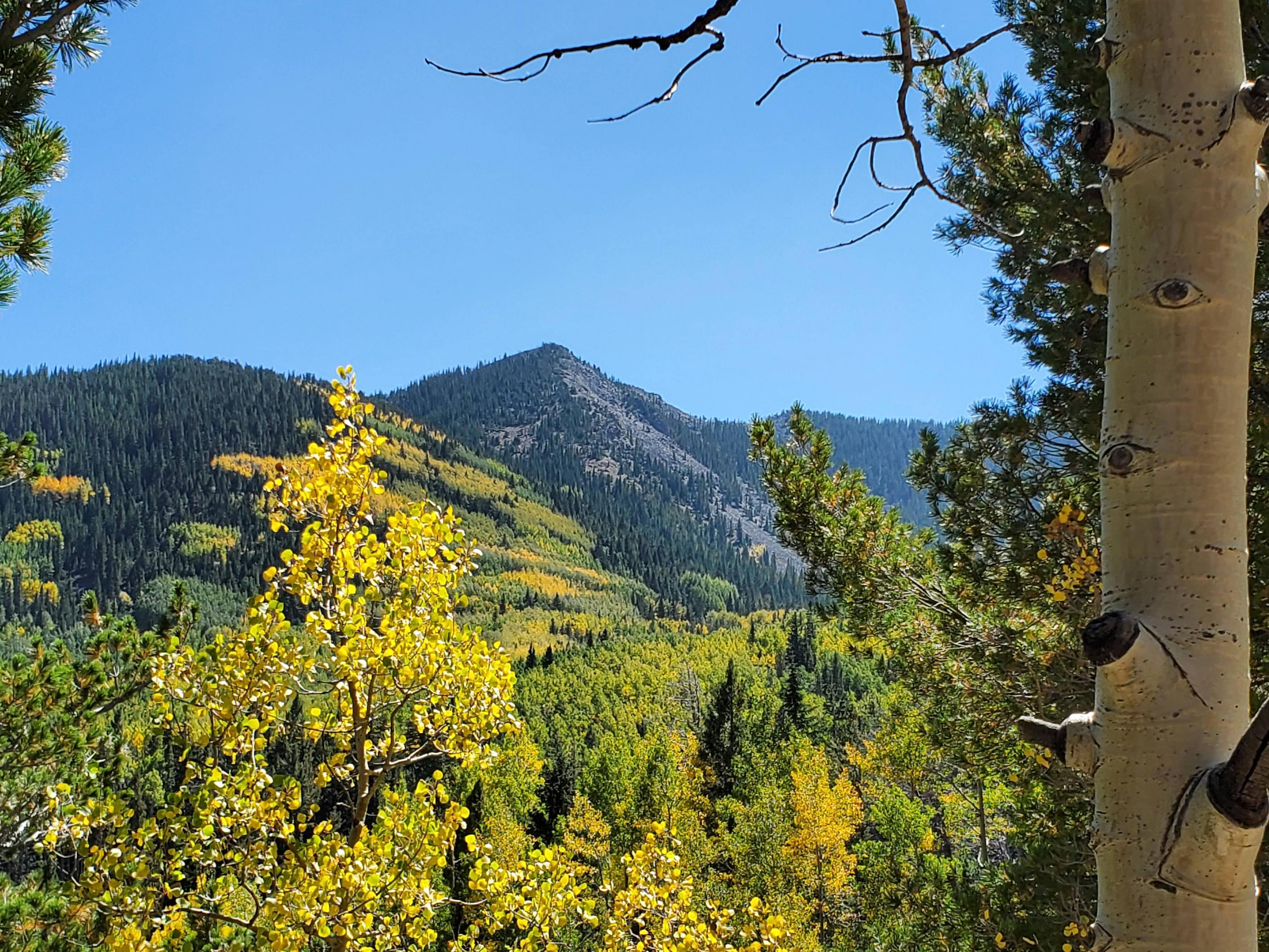 Fall colors starting to show at the inner basin | Scrolller