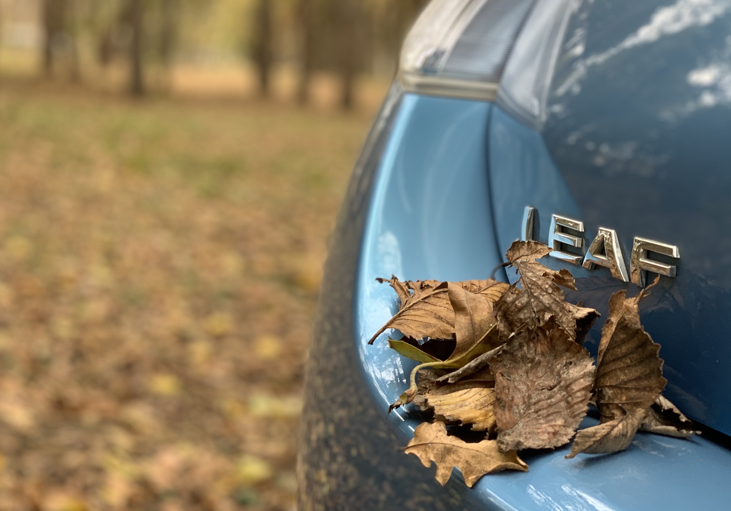 Fall has come | Scrolller