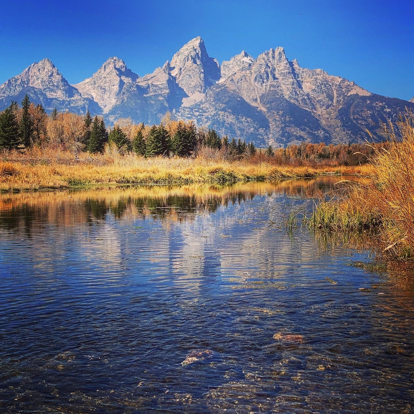 Fall in the Grand Tetons | Scrolller