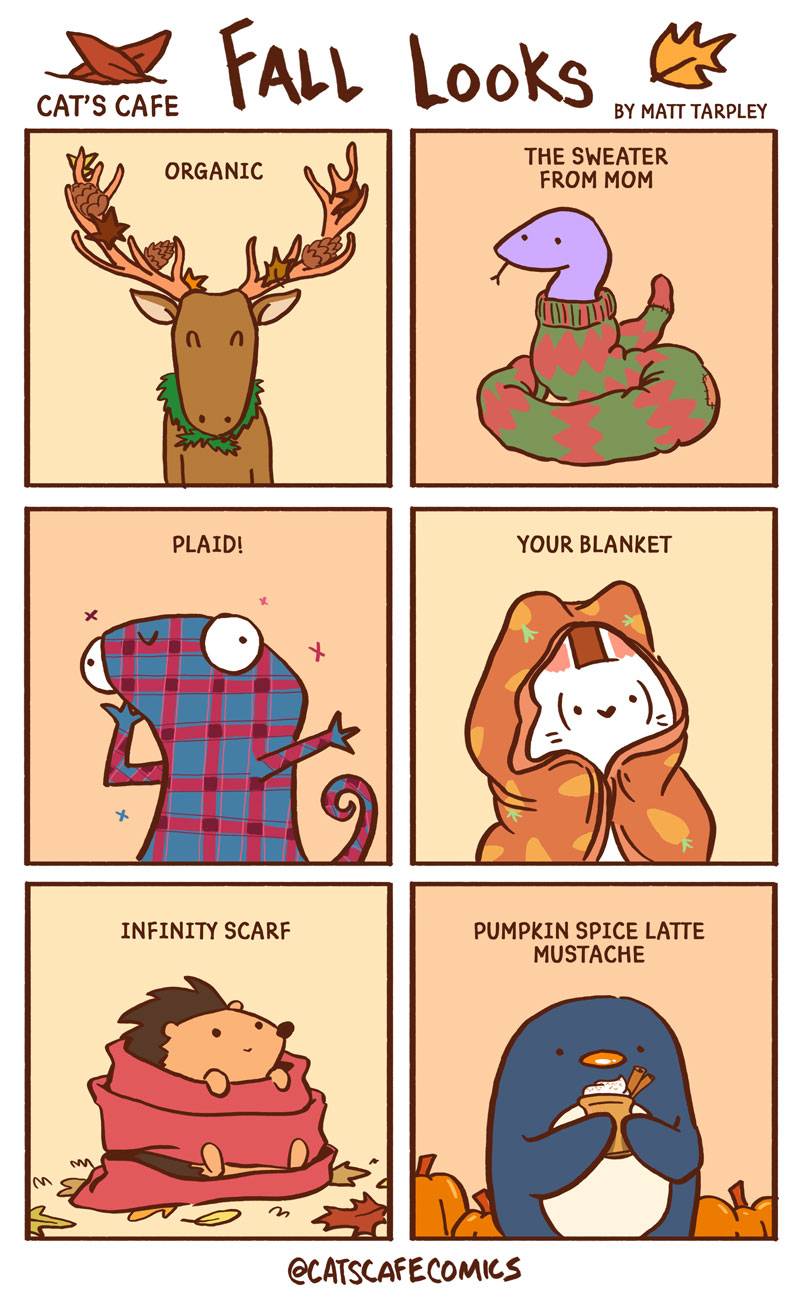 Fall Looks | Scrolller