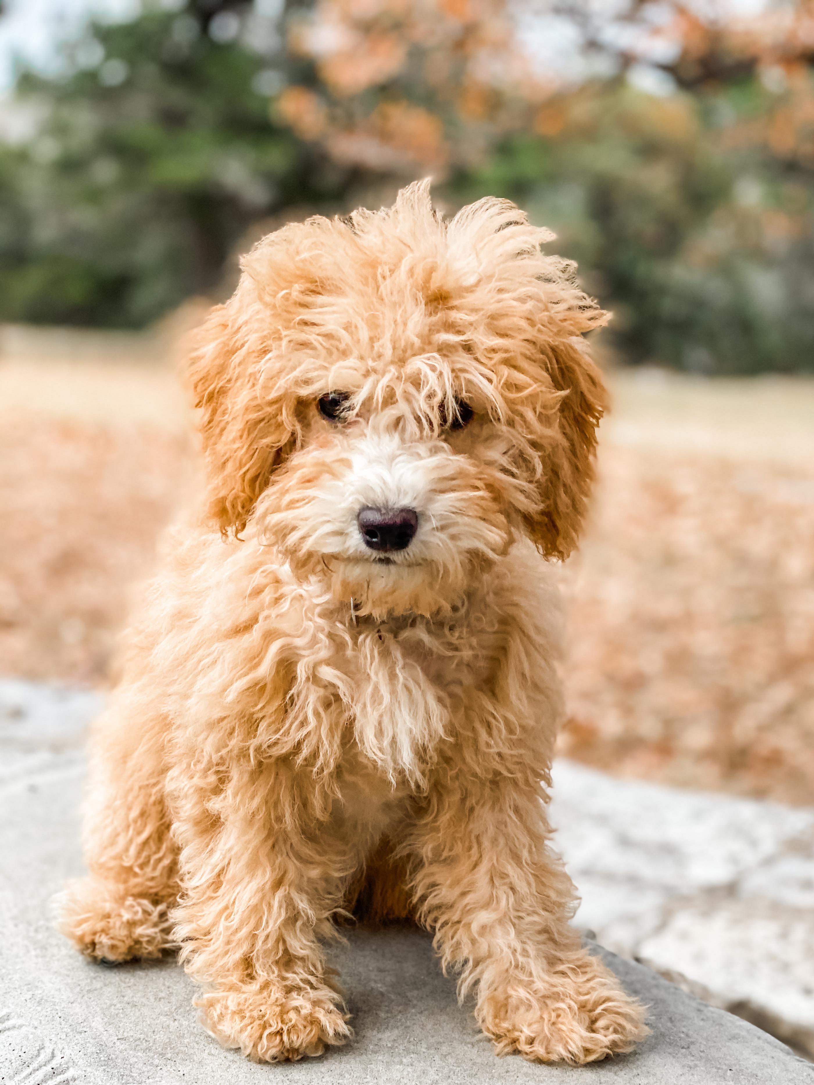 Fall looks good on Mango | Scrolller