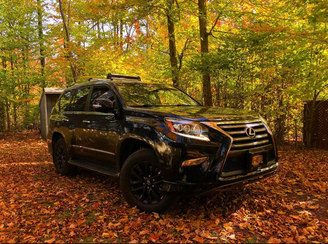 Fall season | Scrolller