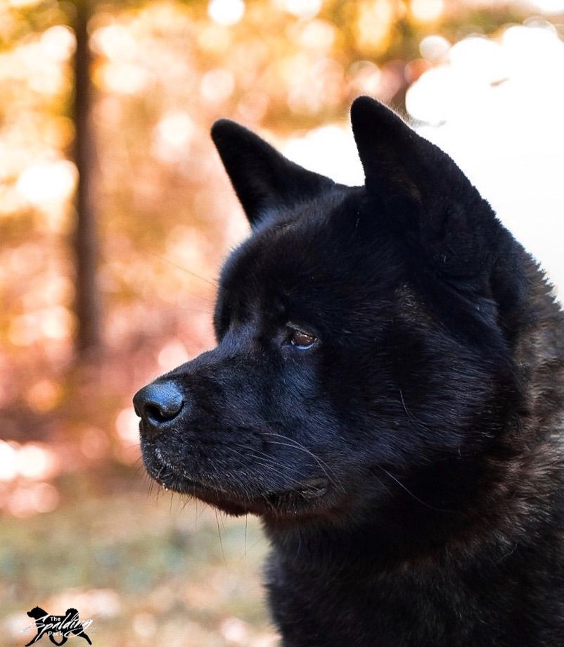 fall vibez | Scrolller