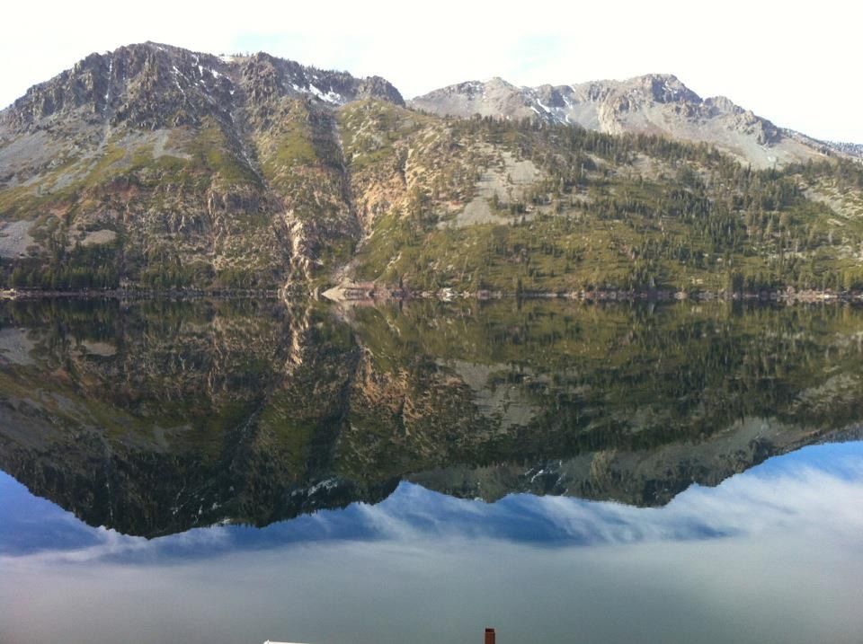 Fallen leaf. | Scrolller