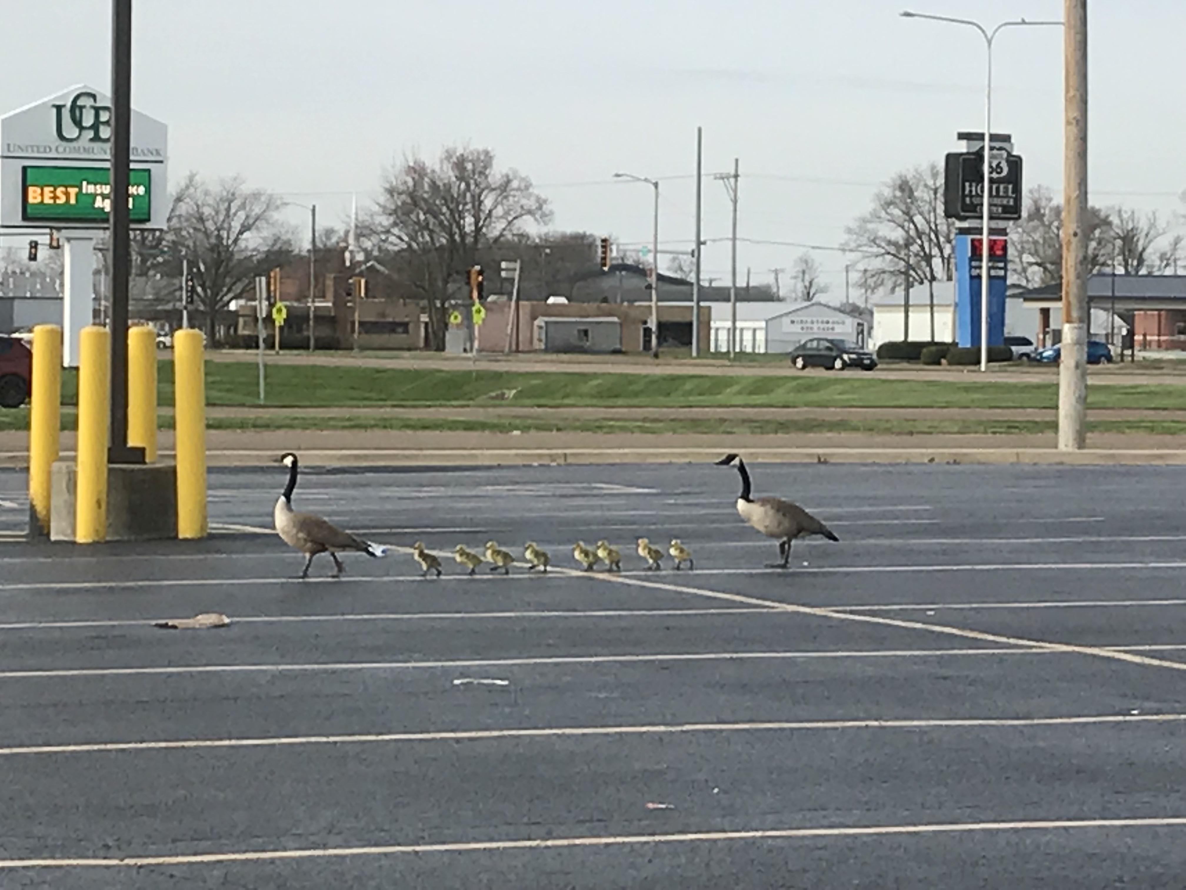 Family Outing | Scrolller