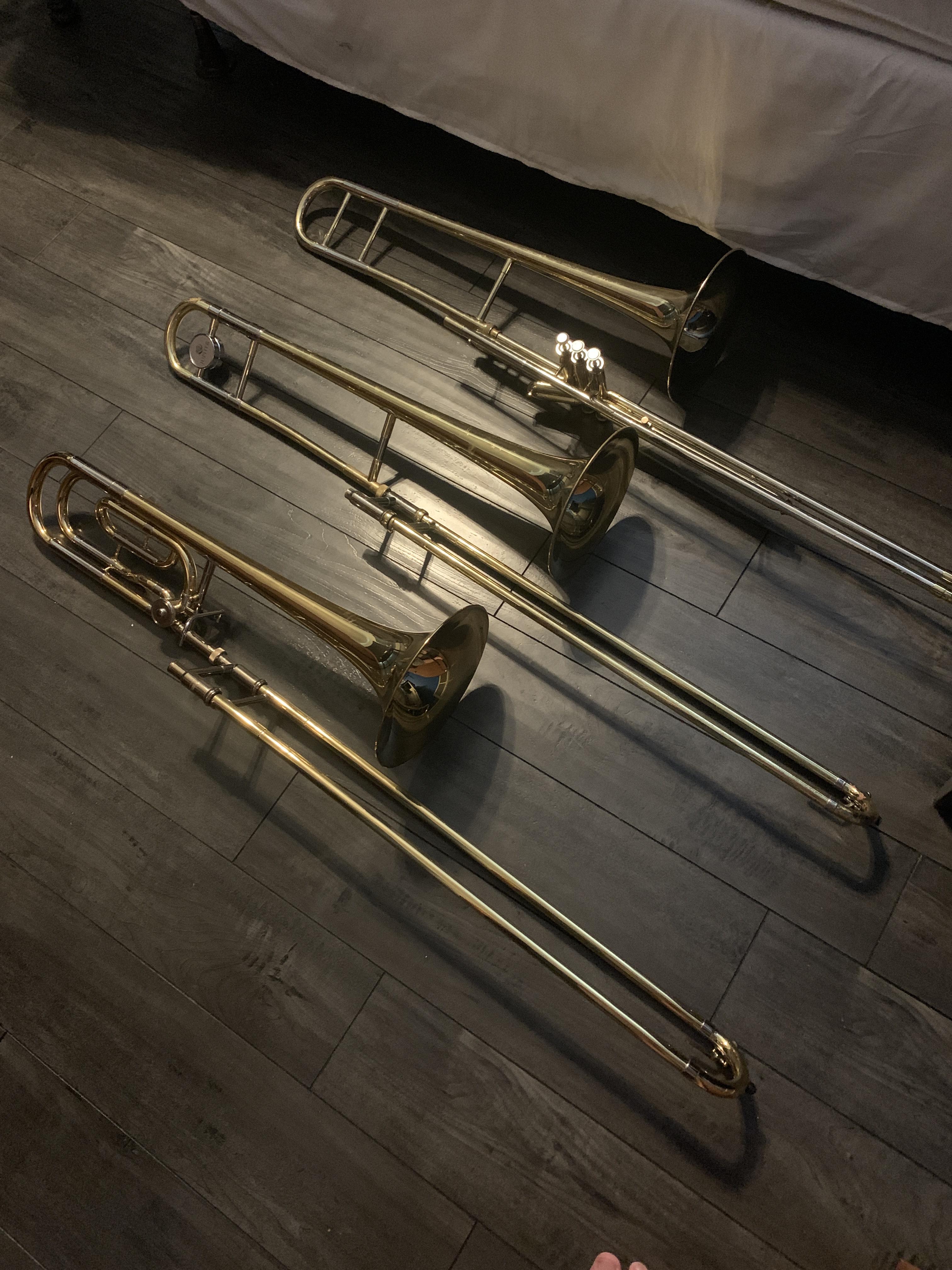 Family Photo! (Info in comments) | Scrolller