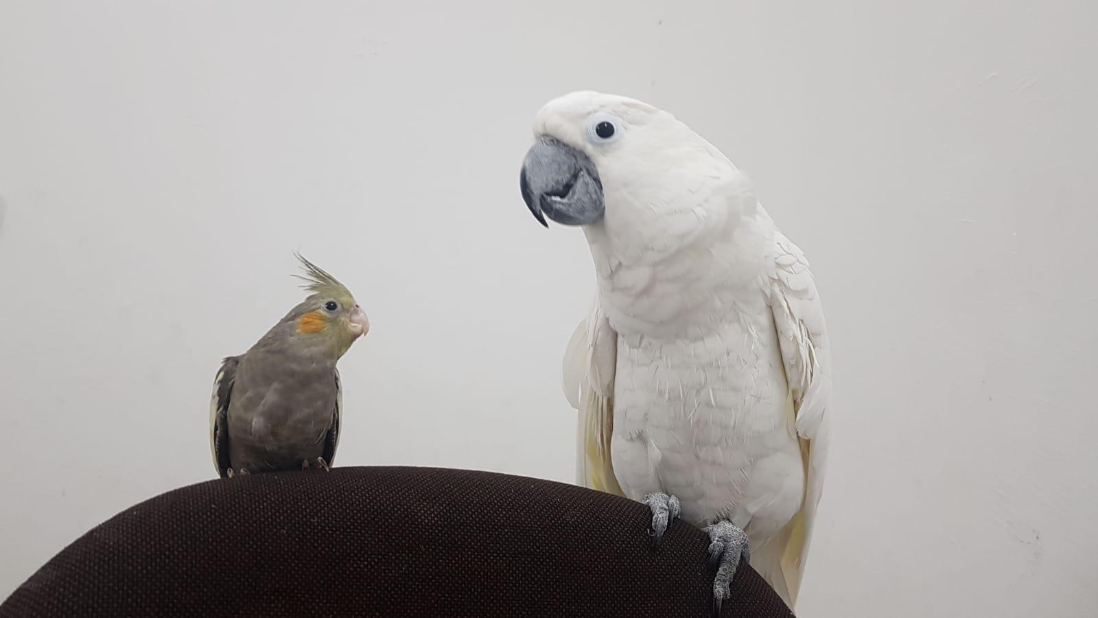 Family portrait. | Scrolller