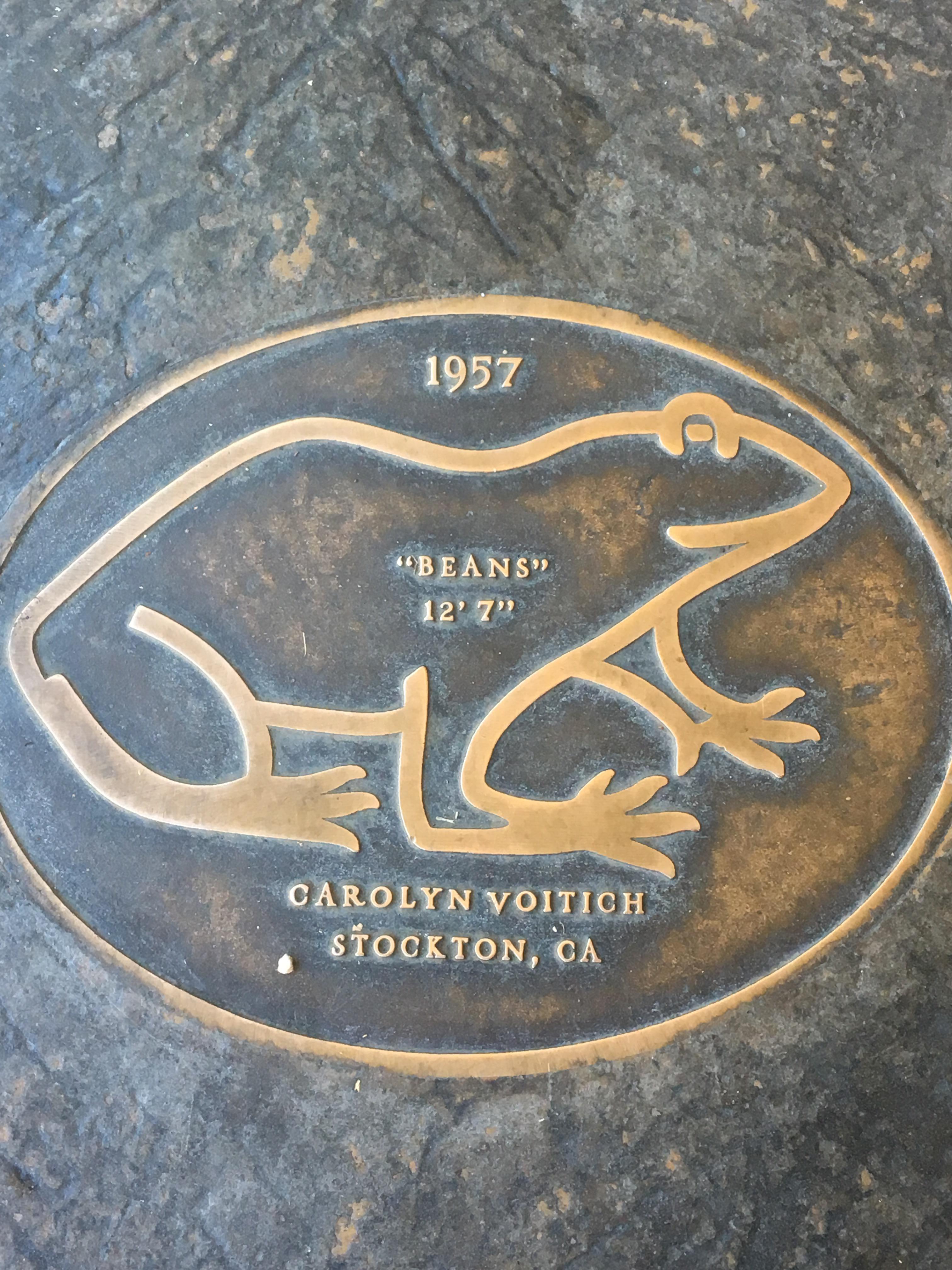 Famous beans | Scrolller