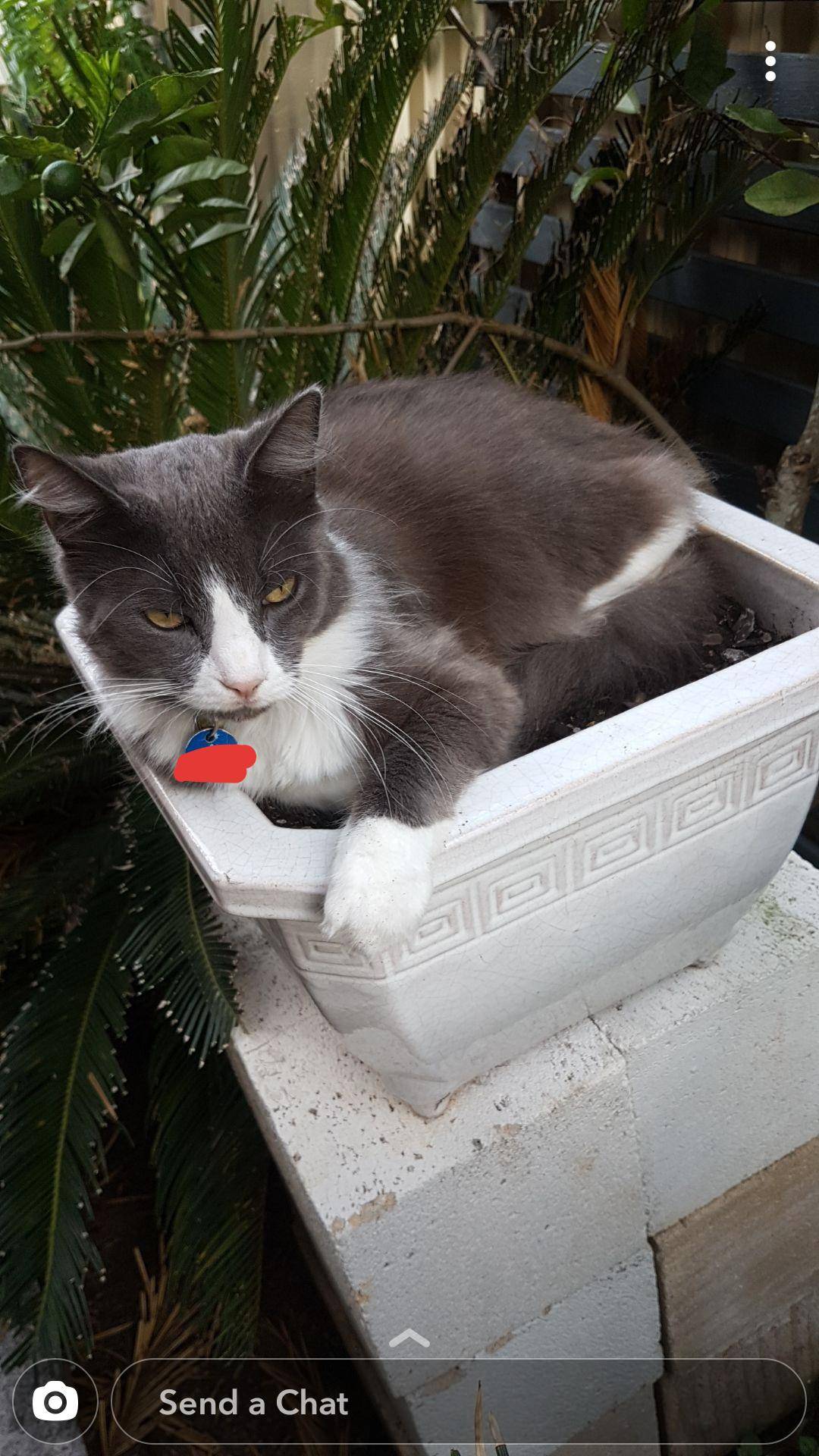 Fancy boy from my friend's snapchat | Scrolller