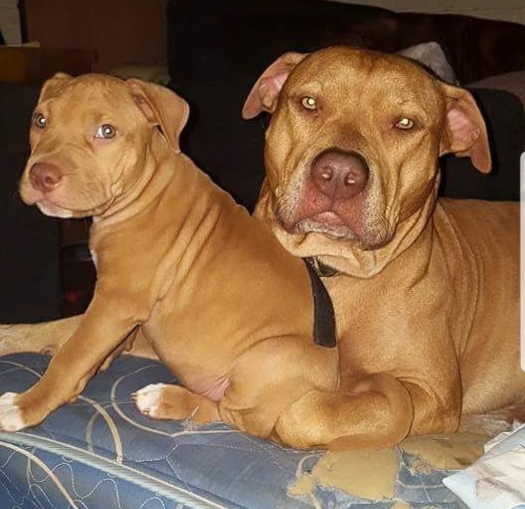 Father and Son | Scrolller