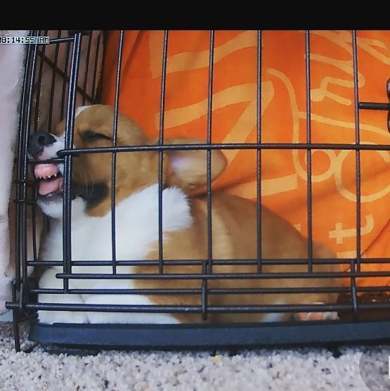 Fear me while I sleep! | Scrolller