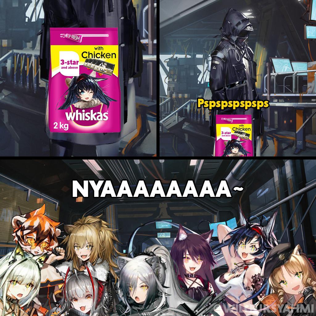 Feeding time pspspsps~ | Scrolller