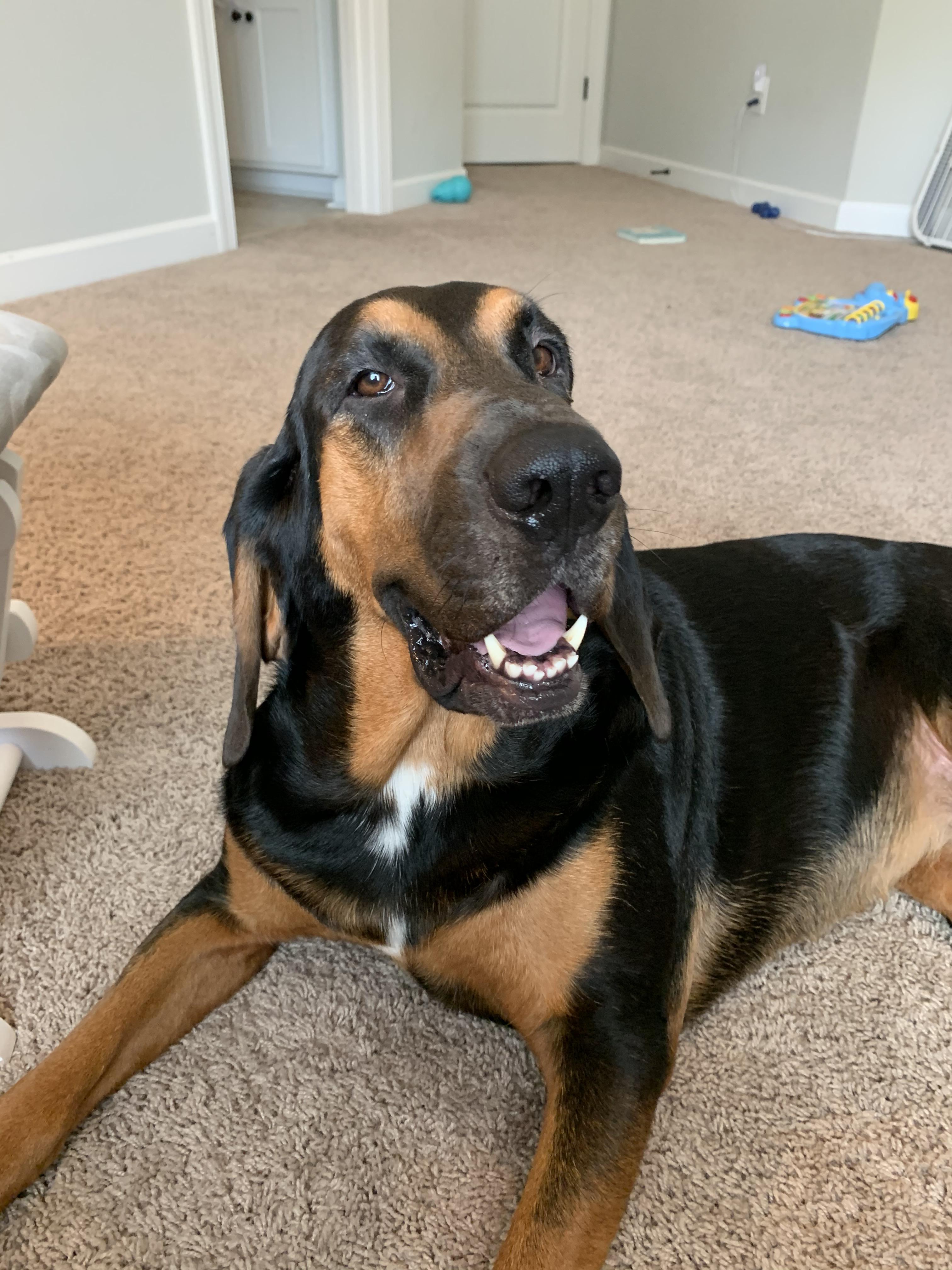 Feelin’ Pretty Today | Scrolller