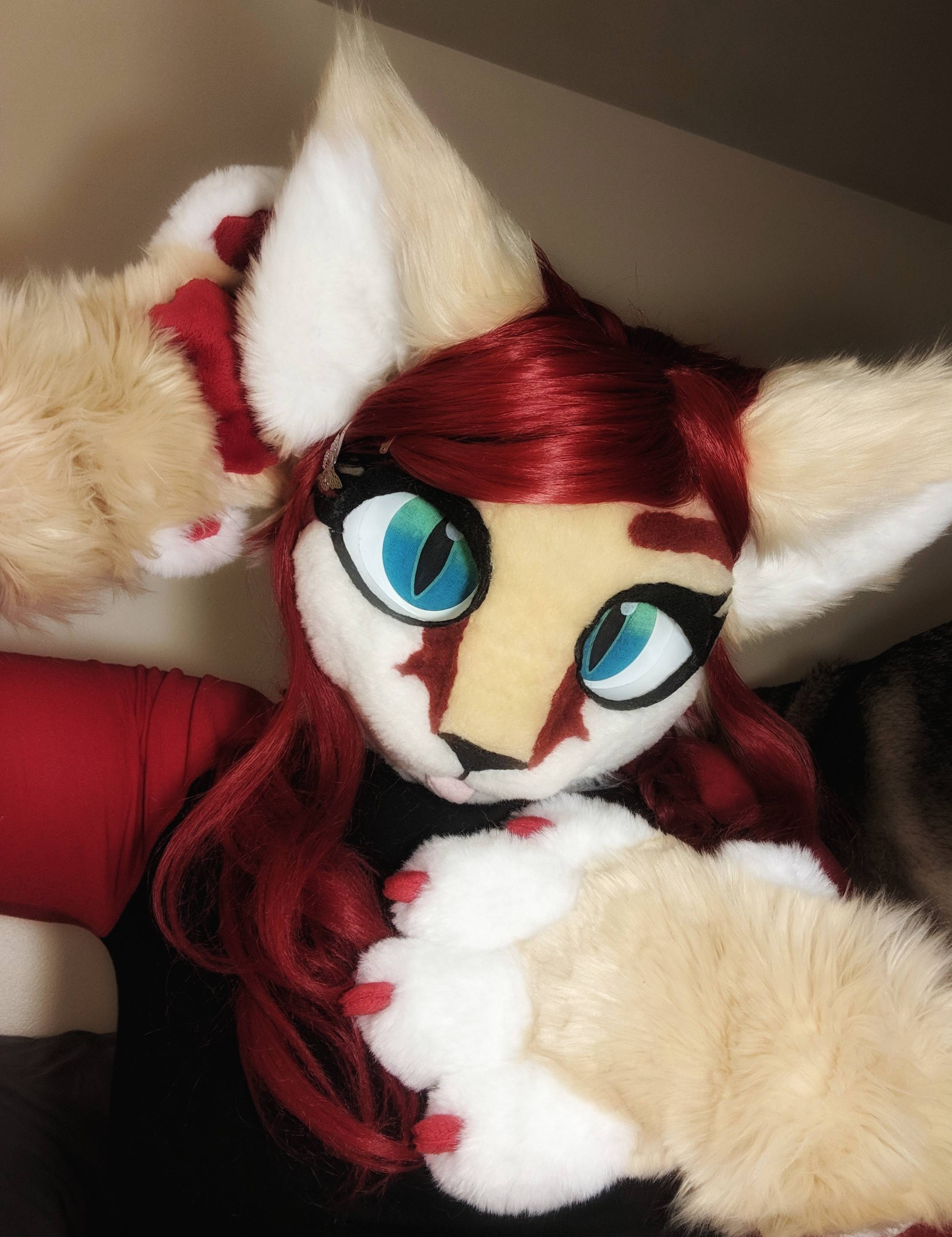 Feeling adorable with my new paws! | Scrolller