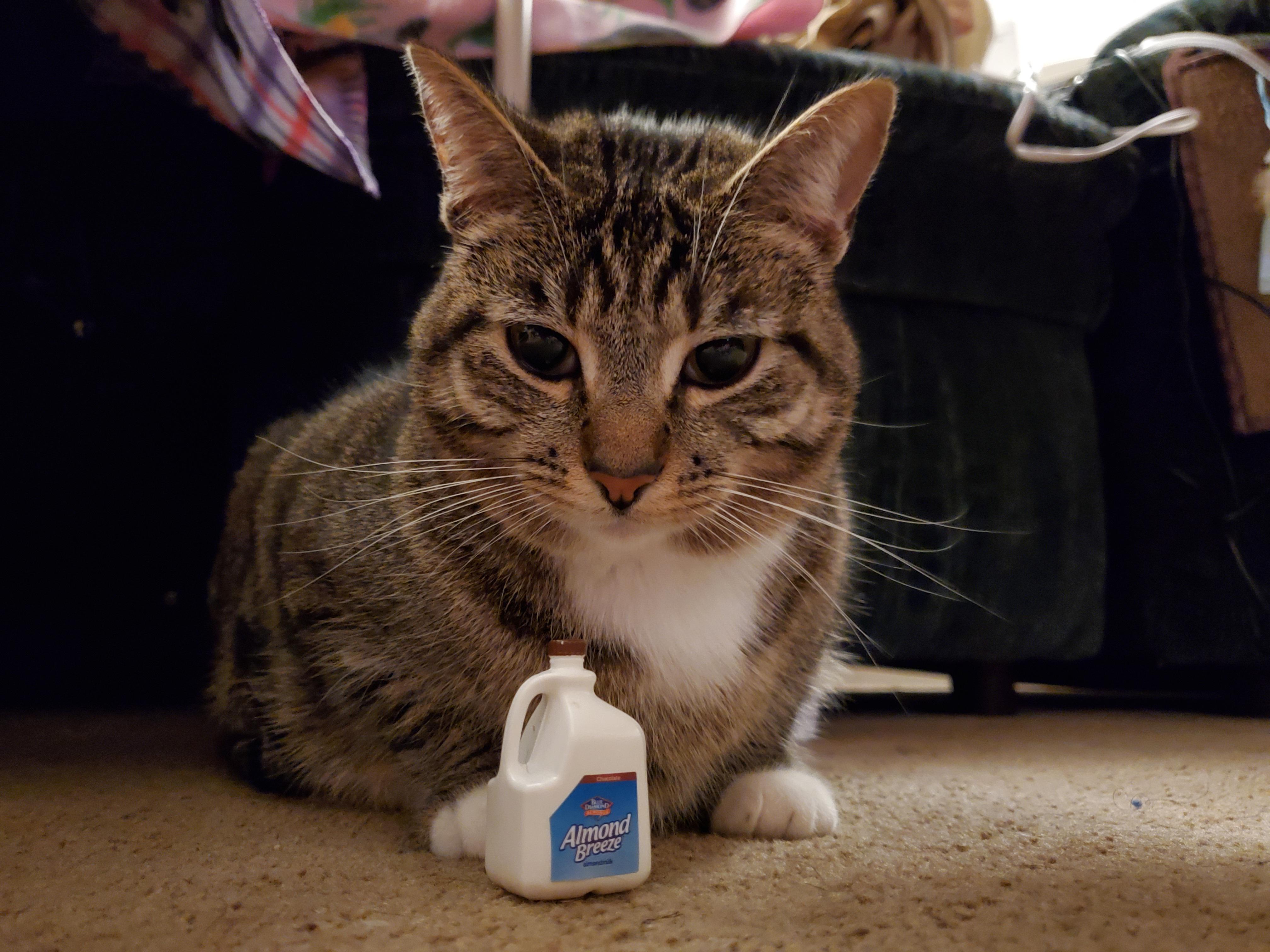 Feeling big next to a mini brand | Scrolller