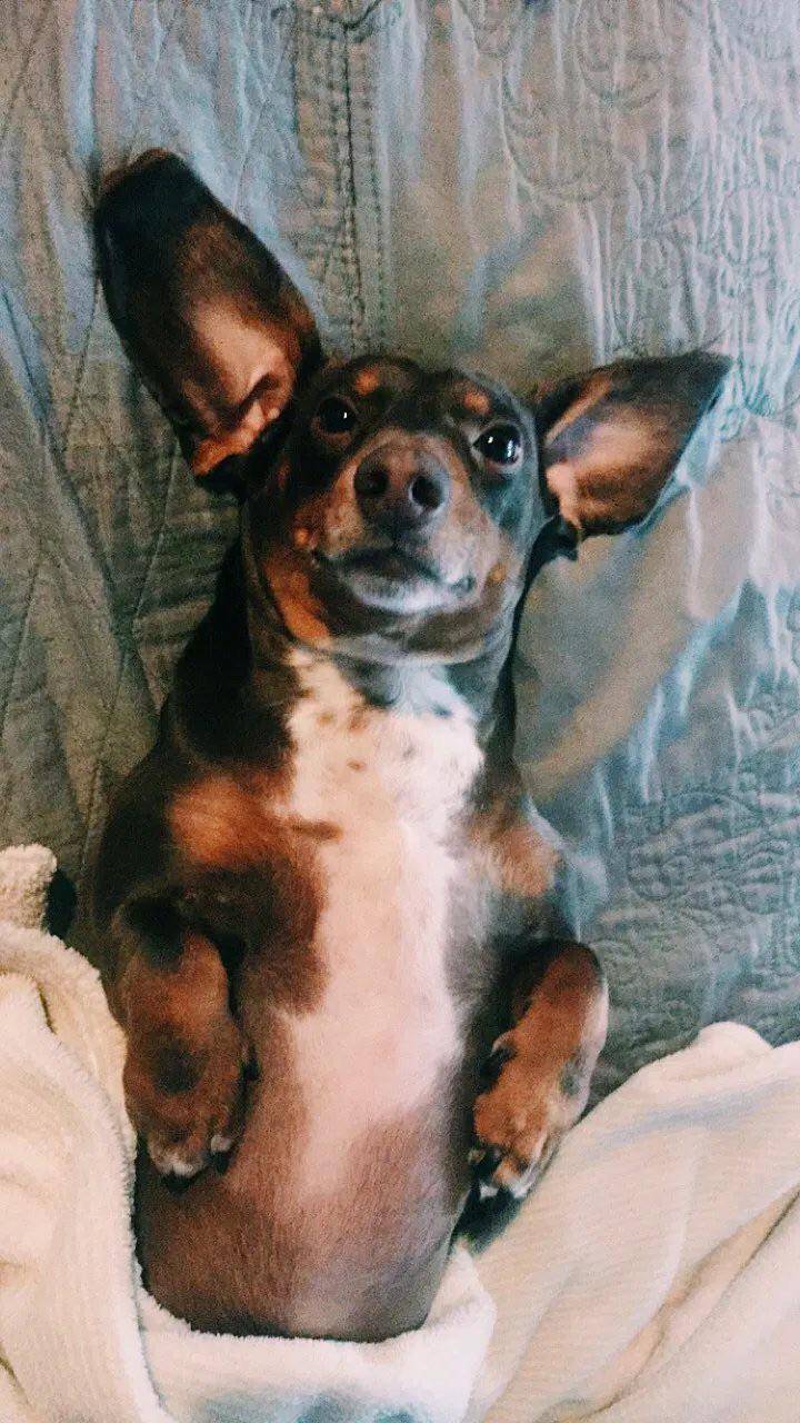 Feeling cozy ☺️ | Scrolller